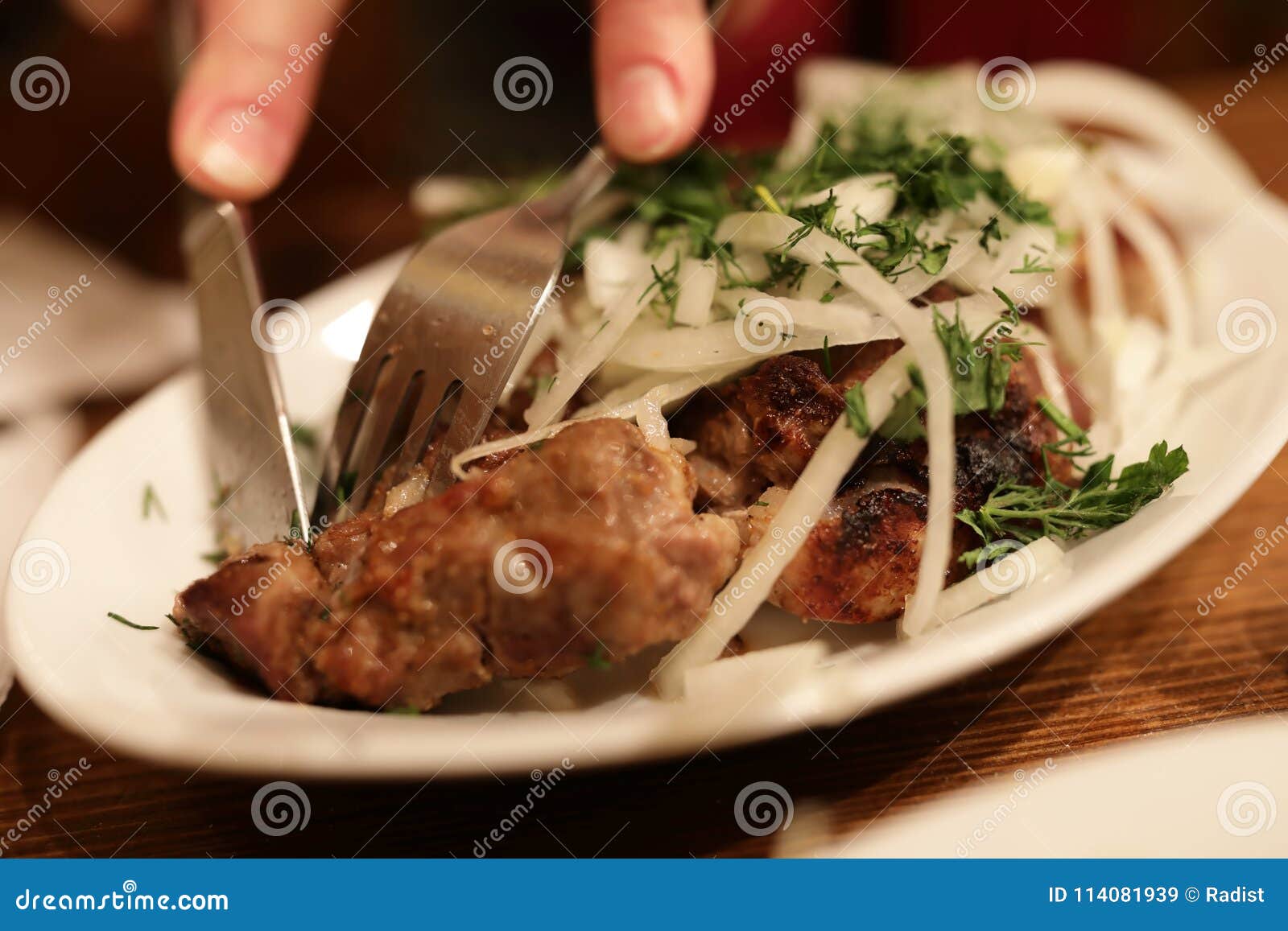 Person has kebab stock image. Image of gourmet, barbecued - 114081939