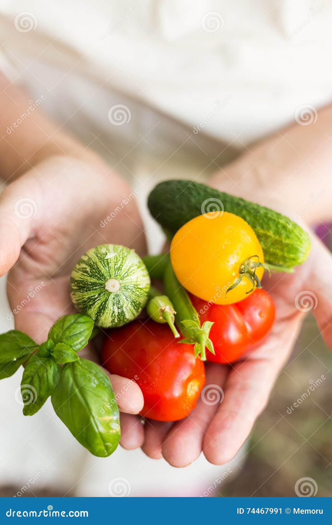 Person Holding Freshly Picked Locally Grown Veggies. Stock Image ... Person Holding Freshly Picked Locally Grown Veggies. Stock Image ...
