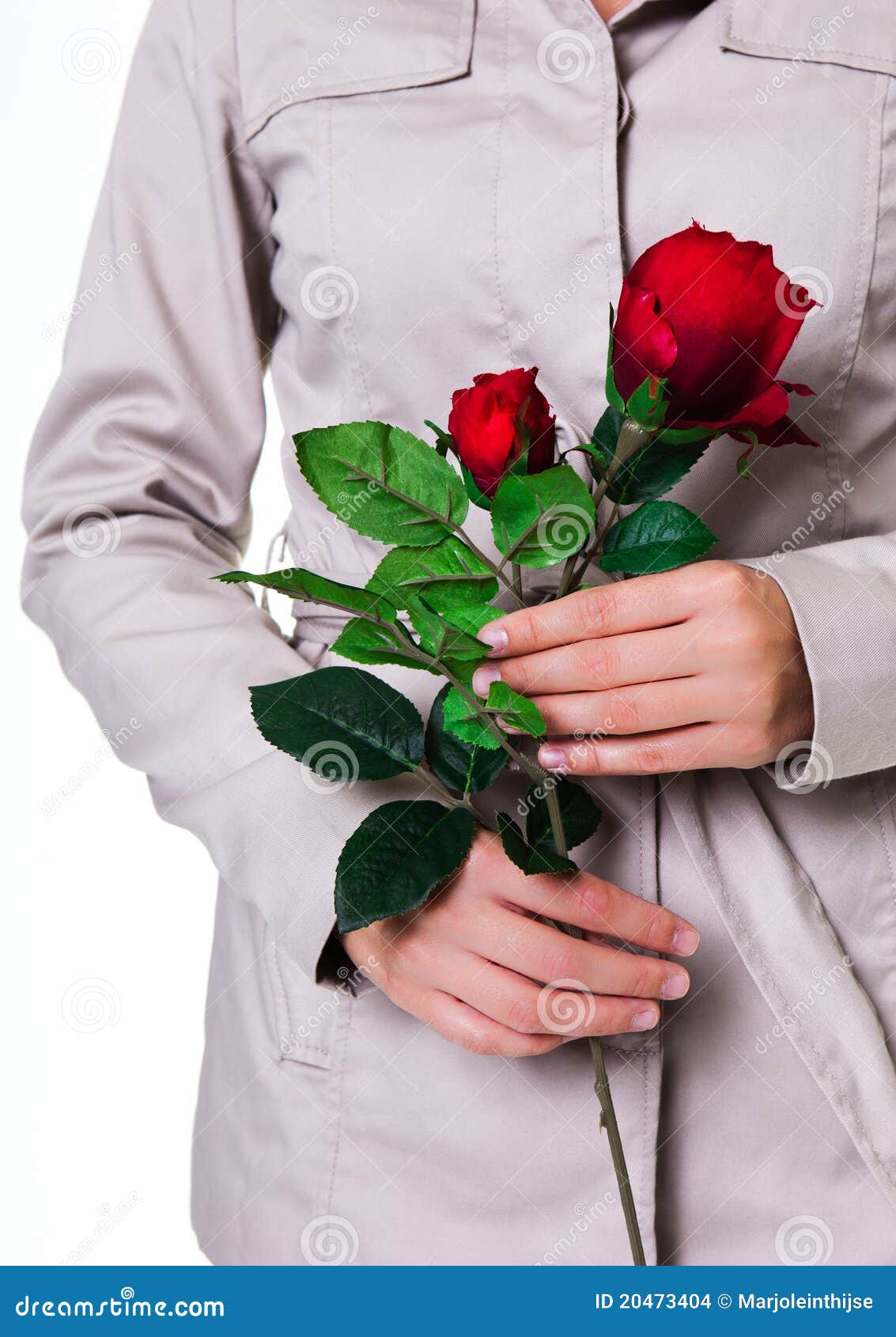Person holding a red rose stock photo. Image of date - 20473404