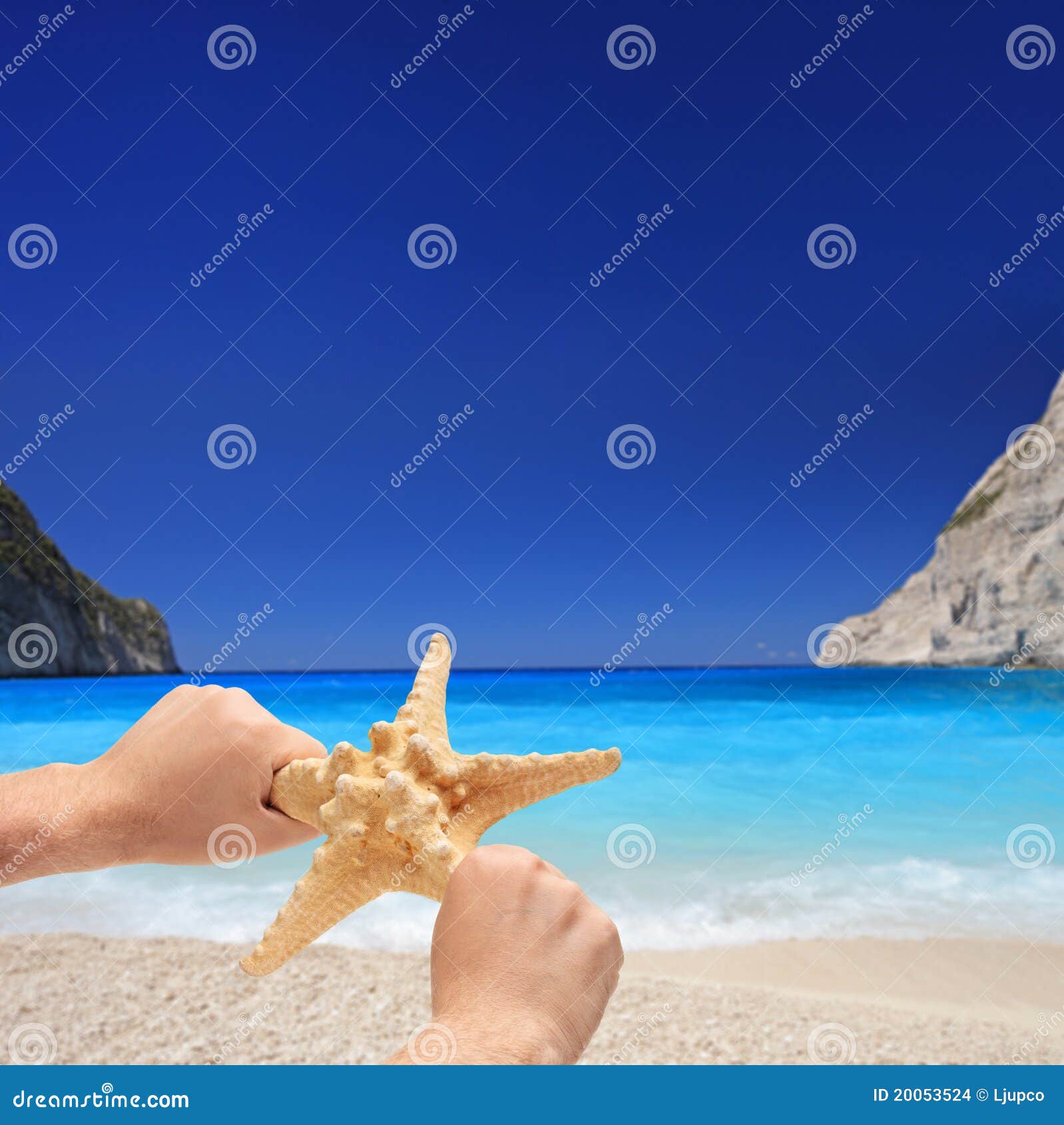 Person Holding a Starfish on a Sandy Beach Stock Photo - Image of ...