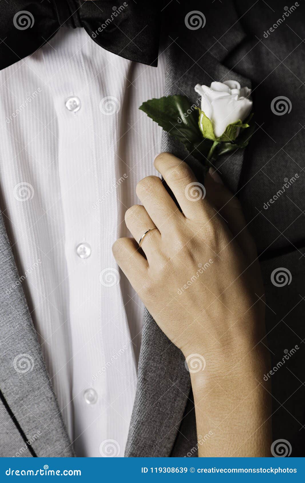 Person Holding White Rose Picture. Image: 119308639
