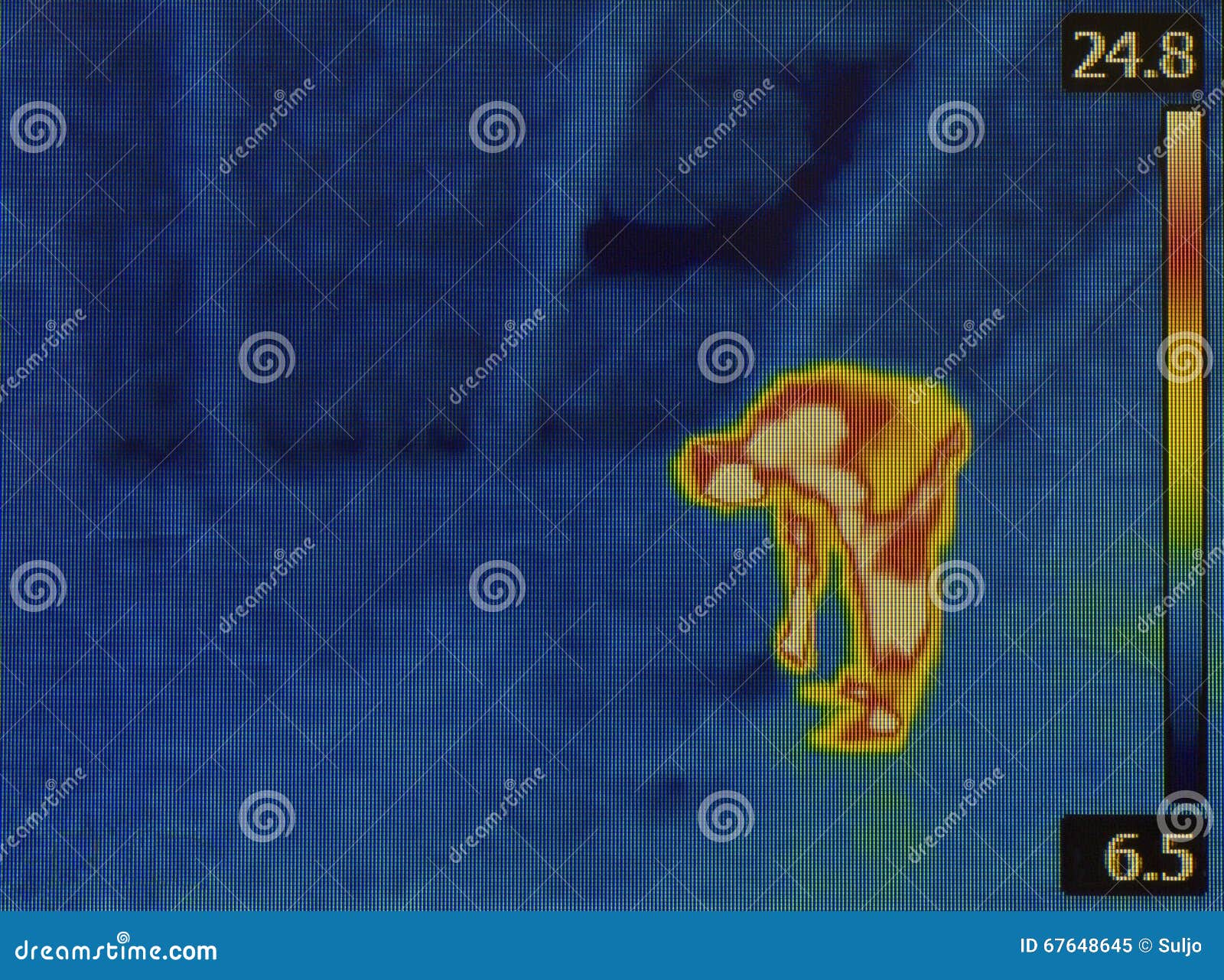 Person Infrared stock image. Image of temperature, range - 67648645