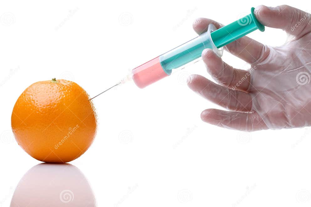 Person Injecting Liquid in Orange Stock Photo - Image of experiment ...