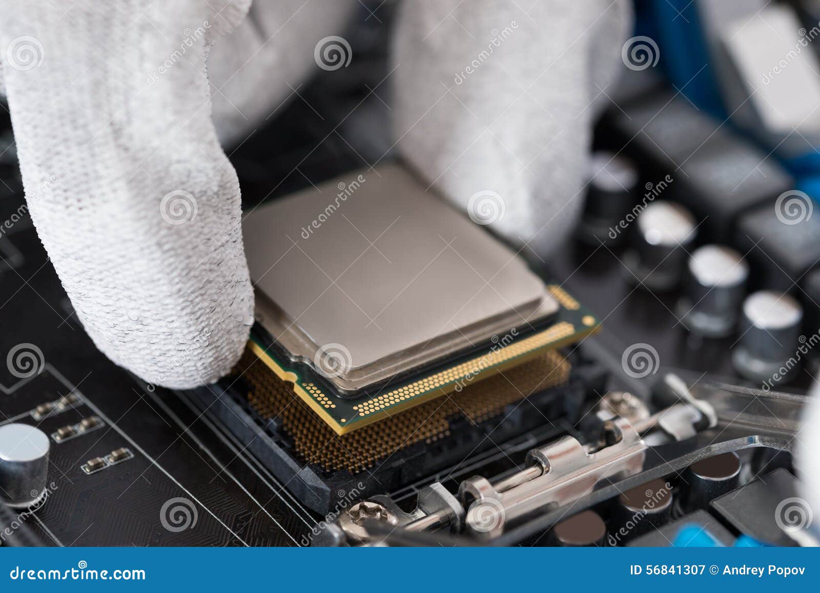 Person Installing Central Processor in Motherboard Stock Image - Image ...