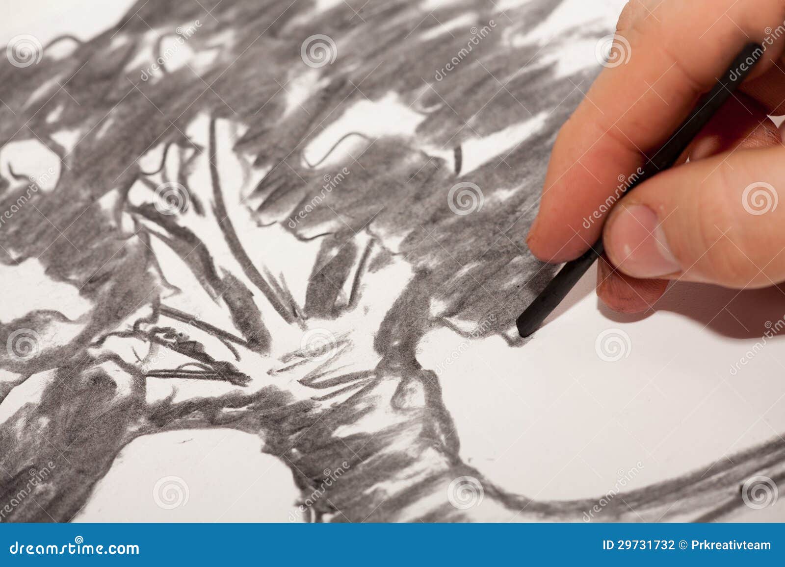 Coal drawing stock photo. Image of isolated, coal, tree - 29731732