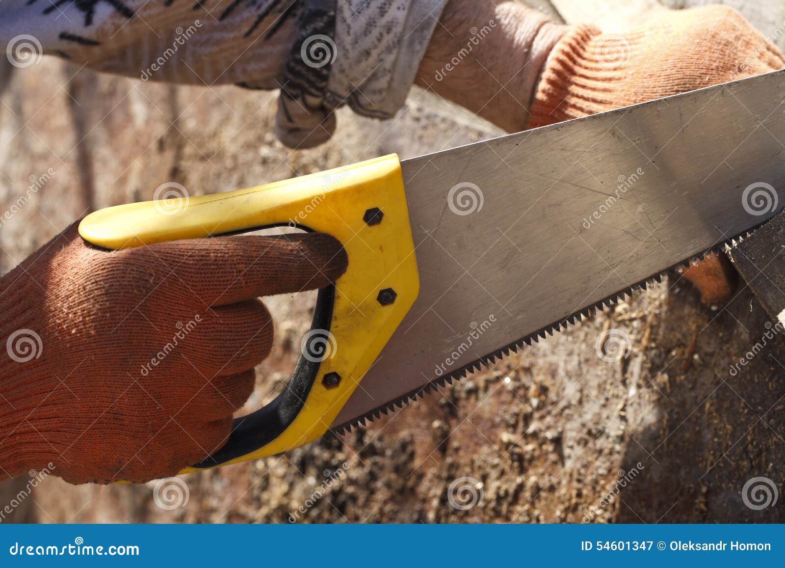The Person with a Manual Saw Stock Image - Image of beautiful, lawn ...
