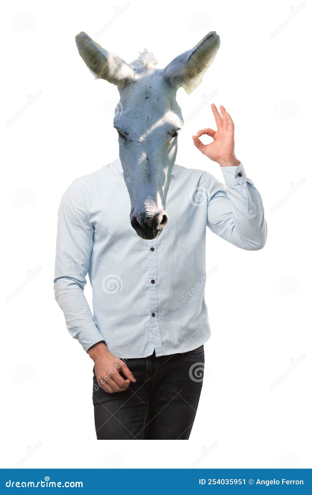 Person with Ok Sign and Donkey Face- Stock Image - Image of outdoors ...