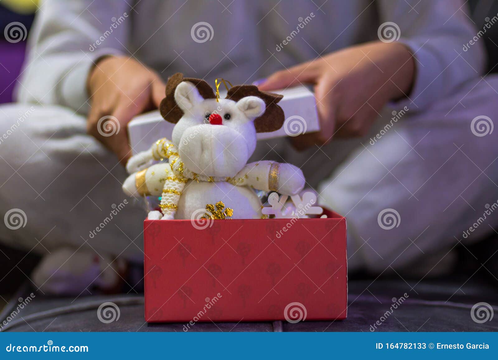 Person Opening a Christmas Gift Box and a Teddy Bear Inside Stock Image ...