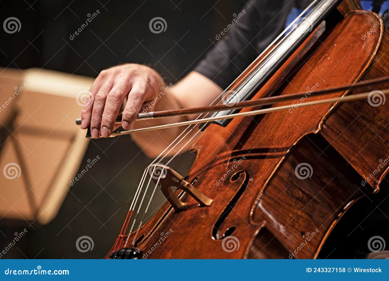 Person Playing Chello at a Concert Stock Photo - Image of entertainment ...
