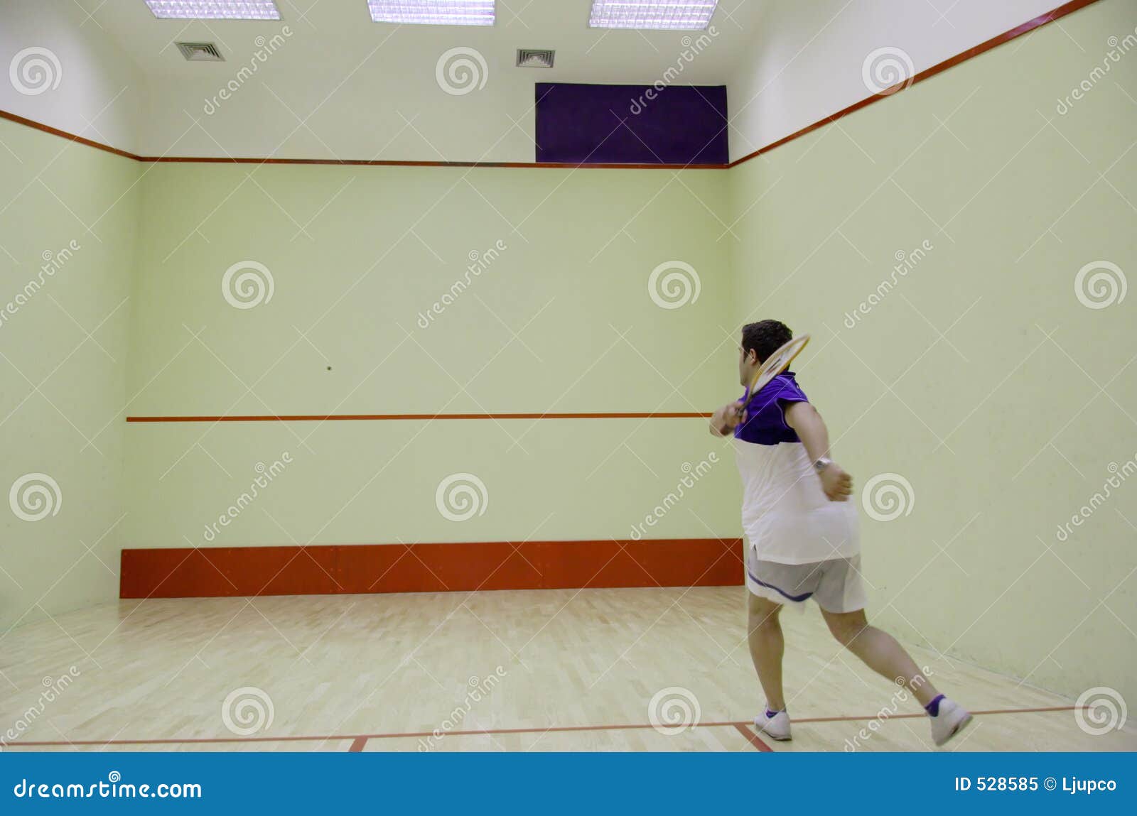 Person playing squash stock image. Image of ball, healthy - 528585