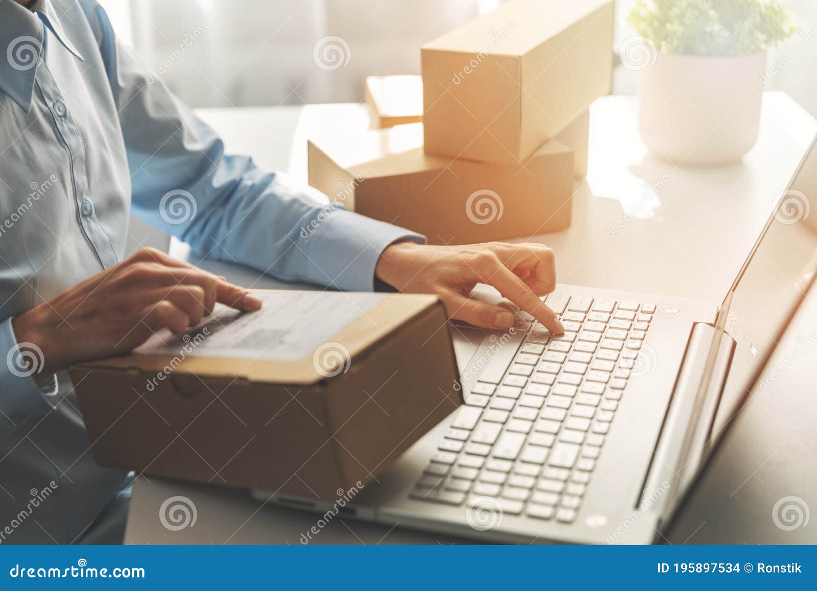 Person Preparing Online Store Orders for Shipping Using Laptop Stock ...