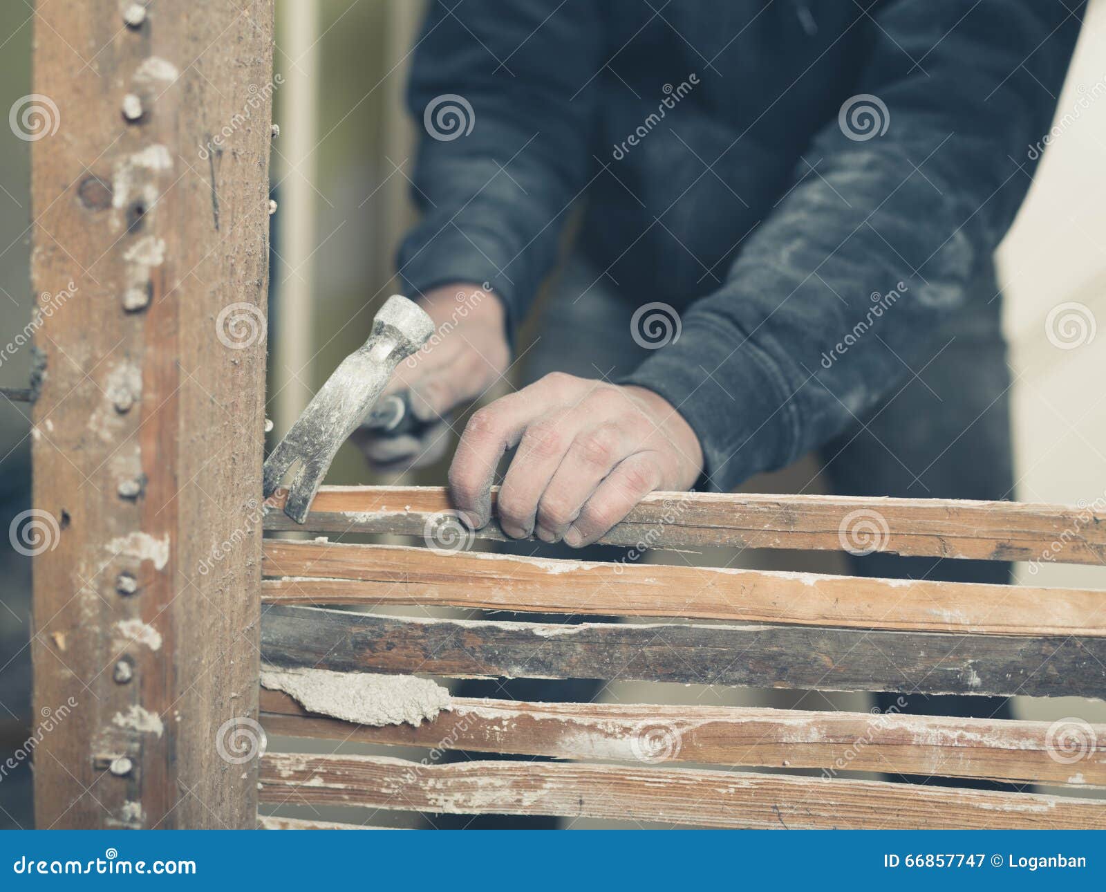 Person Pulling Out Nails of Wattle Stock Image - Image of person ...