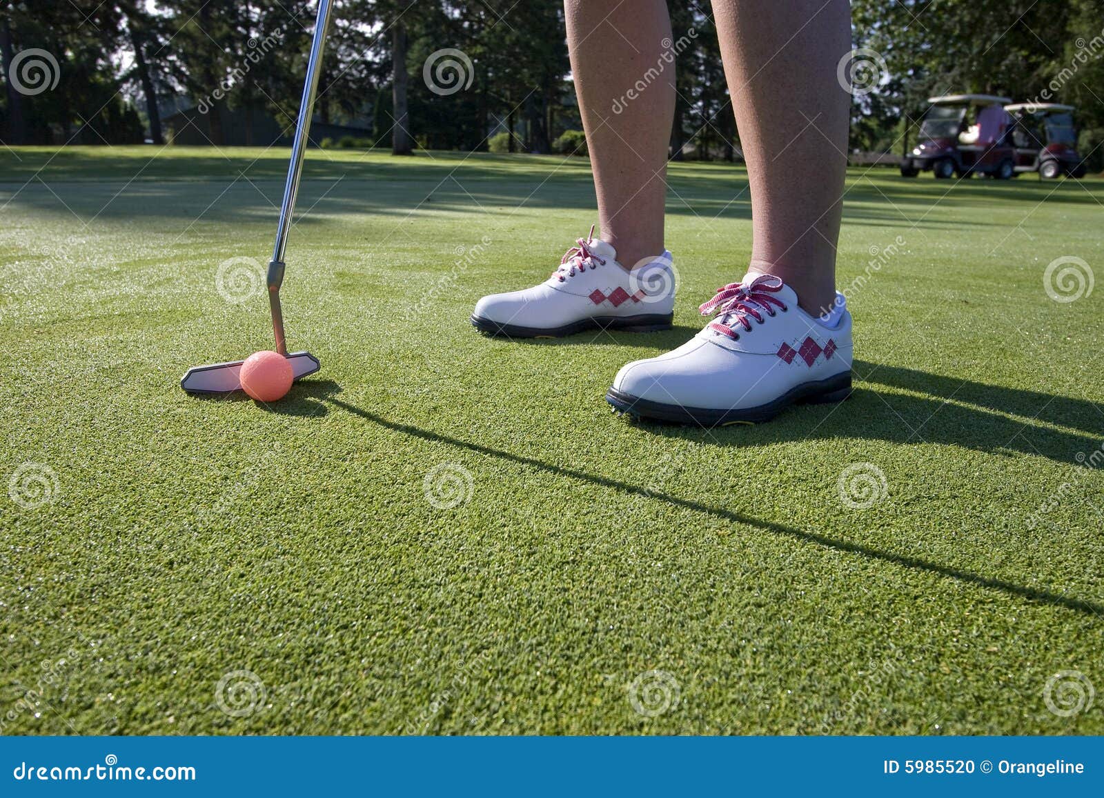 Person Putting on Golf Course - Horizontal Stock Photo - Image of stand ...