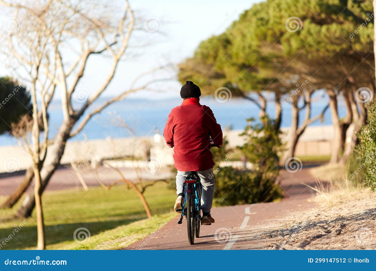 Person Riding a Bicycle on a Cycle Path Stock Photo - Image of nature ...
