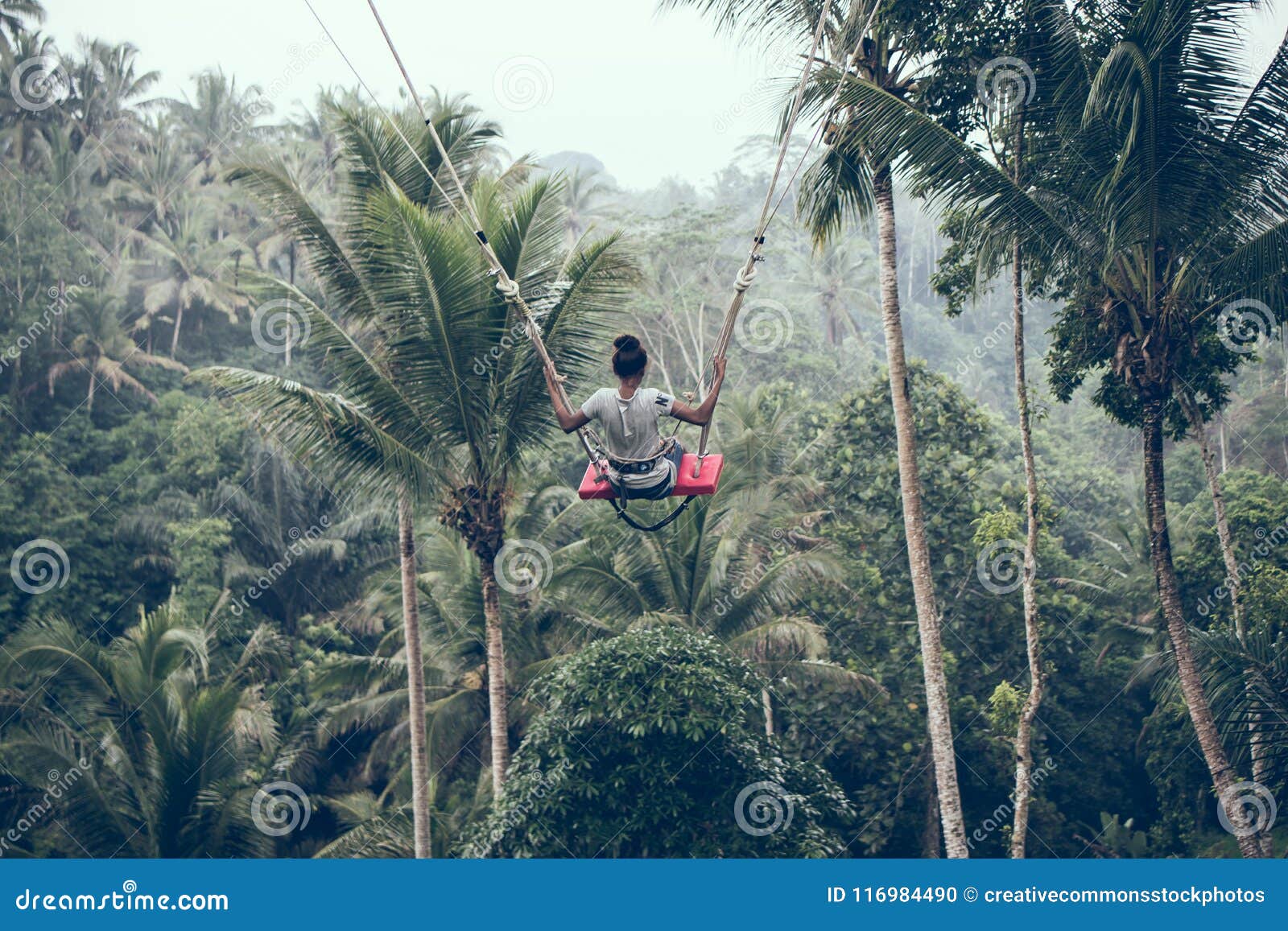 Person Riding On Zip Line Picture. Image: 116984490