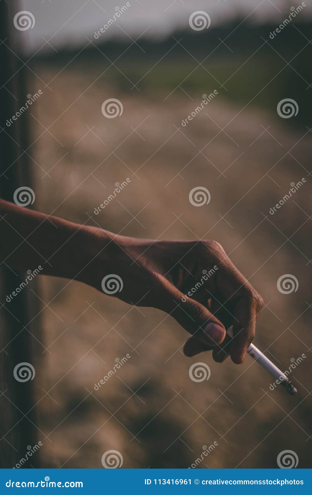 Person's Left Hand Holding White Cigarette Stick Picture. Image: 113416961