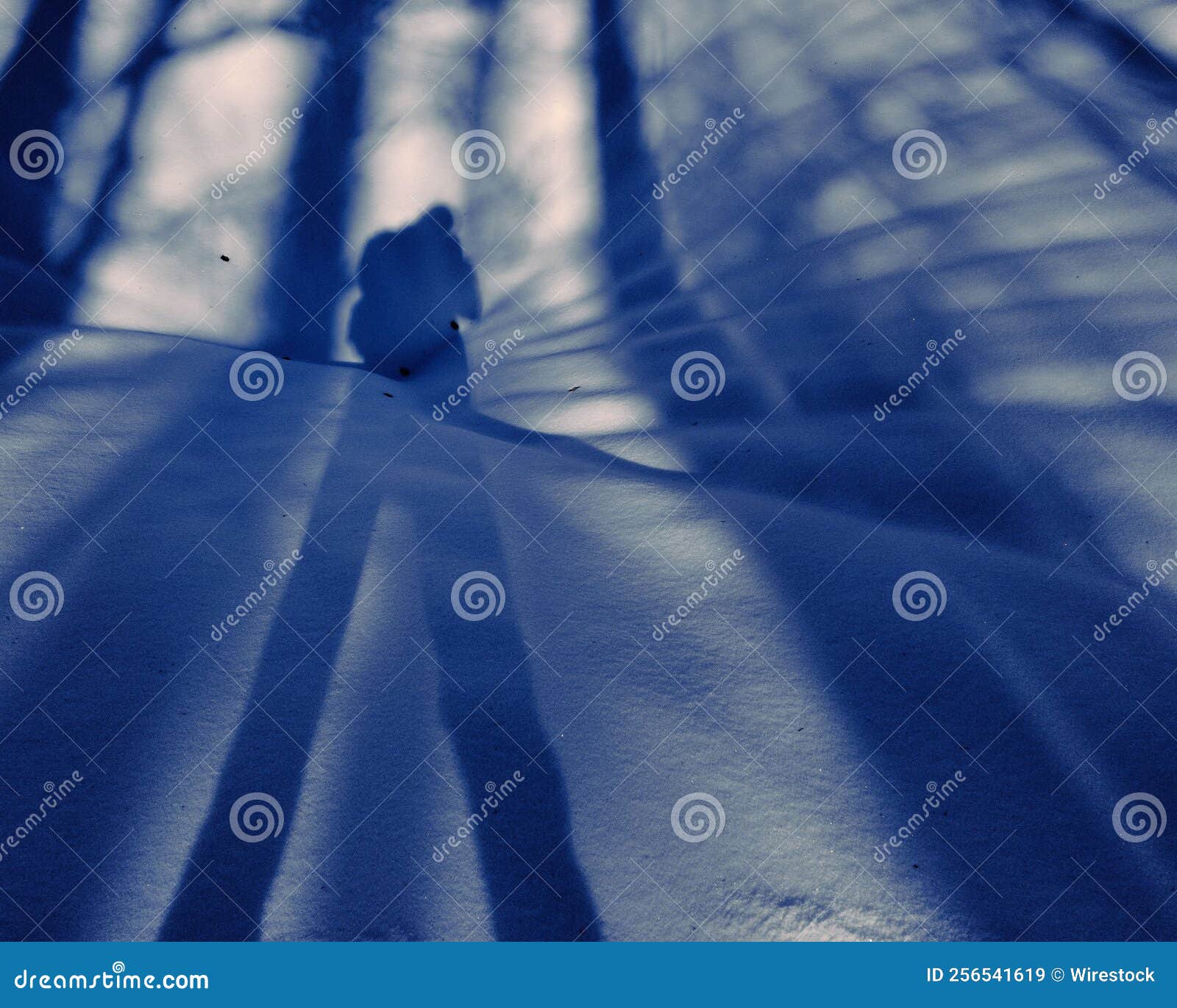 Person S Shadow on the Ground with Beautiful Blue Colors Stock Image ...