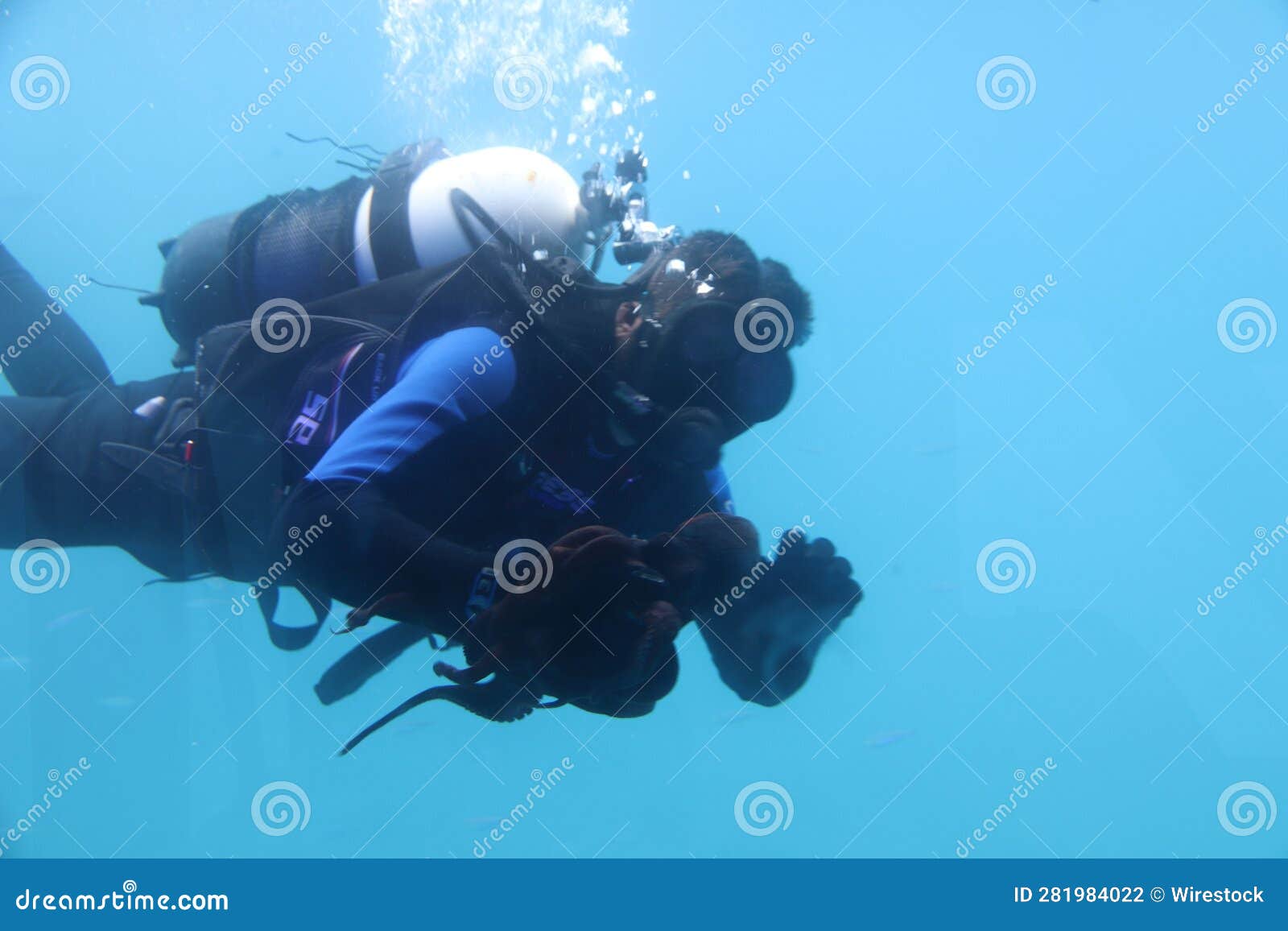 Person Scuba Diving in Ocean Water Stock Photo - Image of leisurely ...