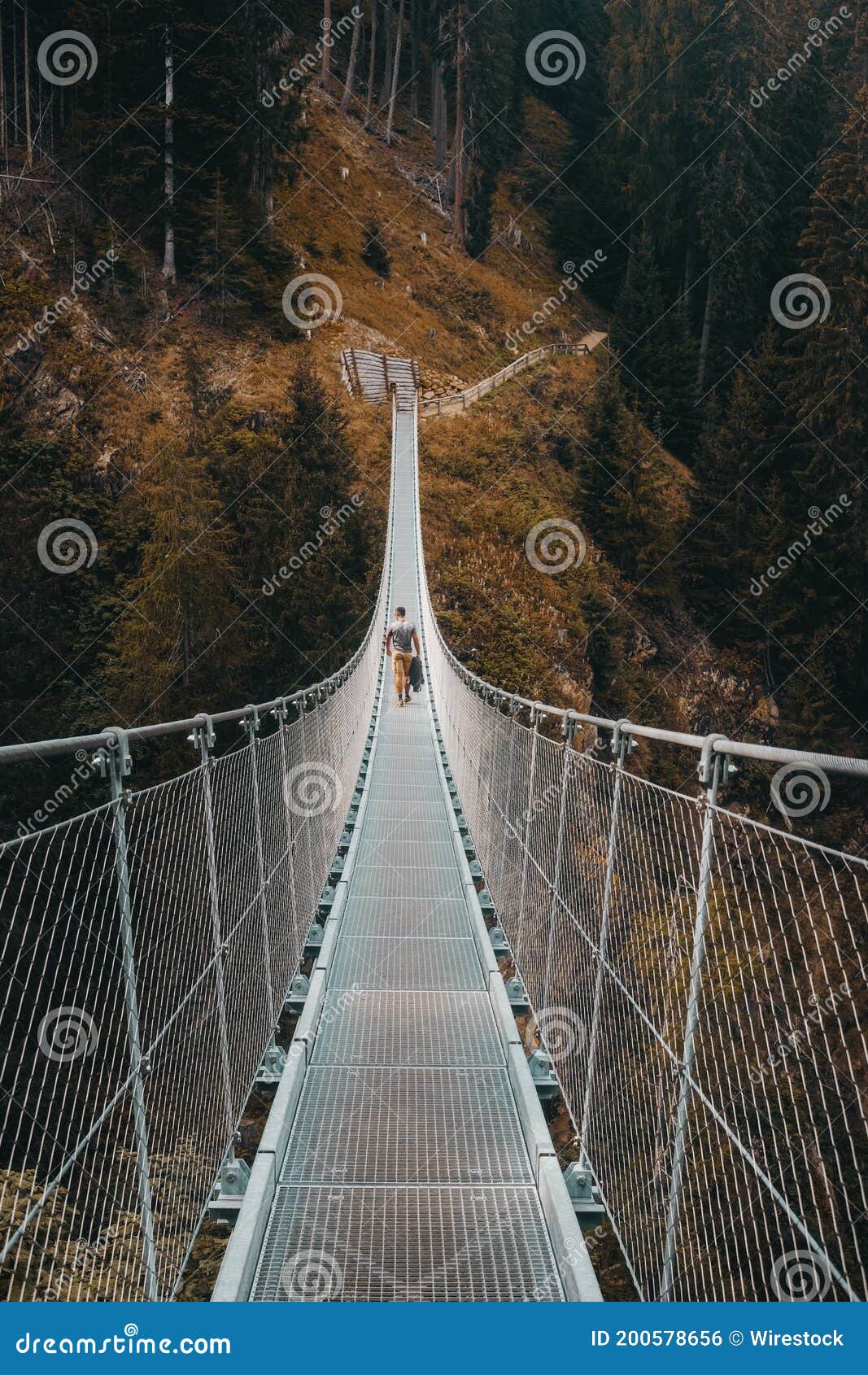 Person on a Self-anchored Suspension Bridge Stock Photo - Image of ...