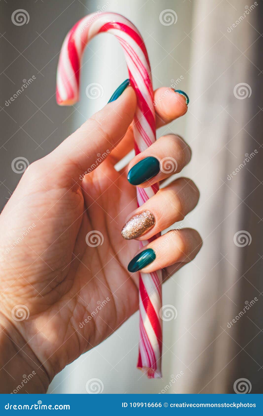 Person Showing White And Red Candy Cane Picture. Image: 109916666
