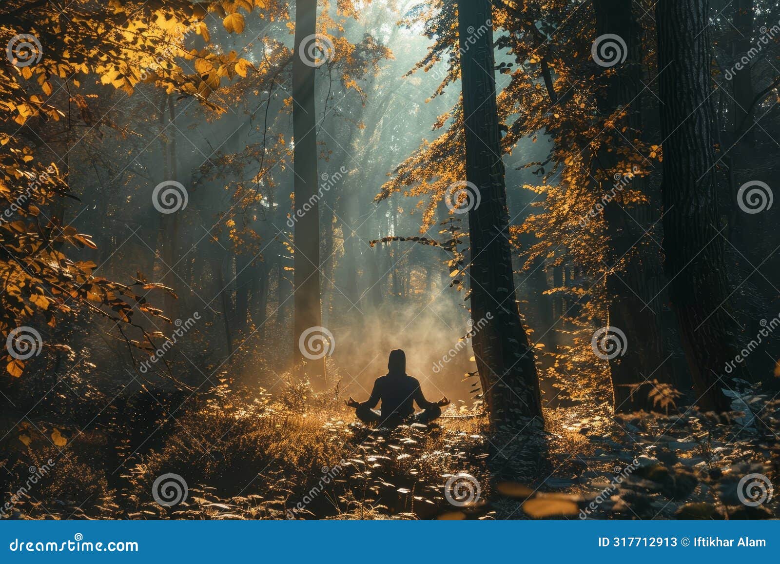 A Person Sitting in Meditation Posture Surrounded by Trees in a Forest ...