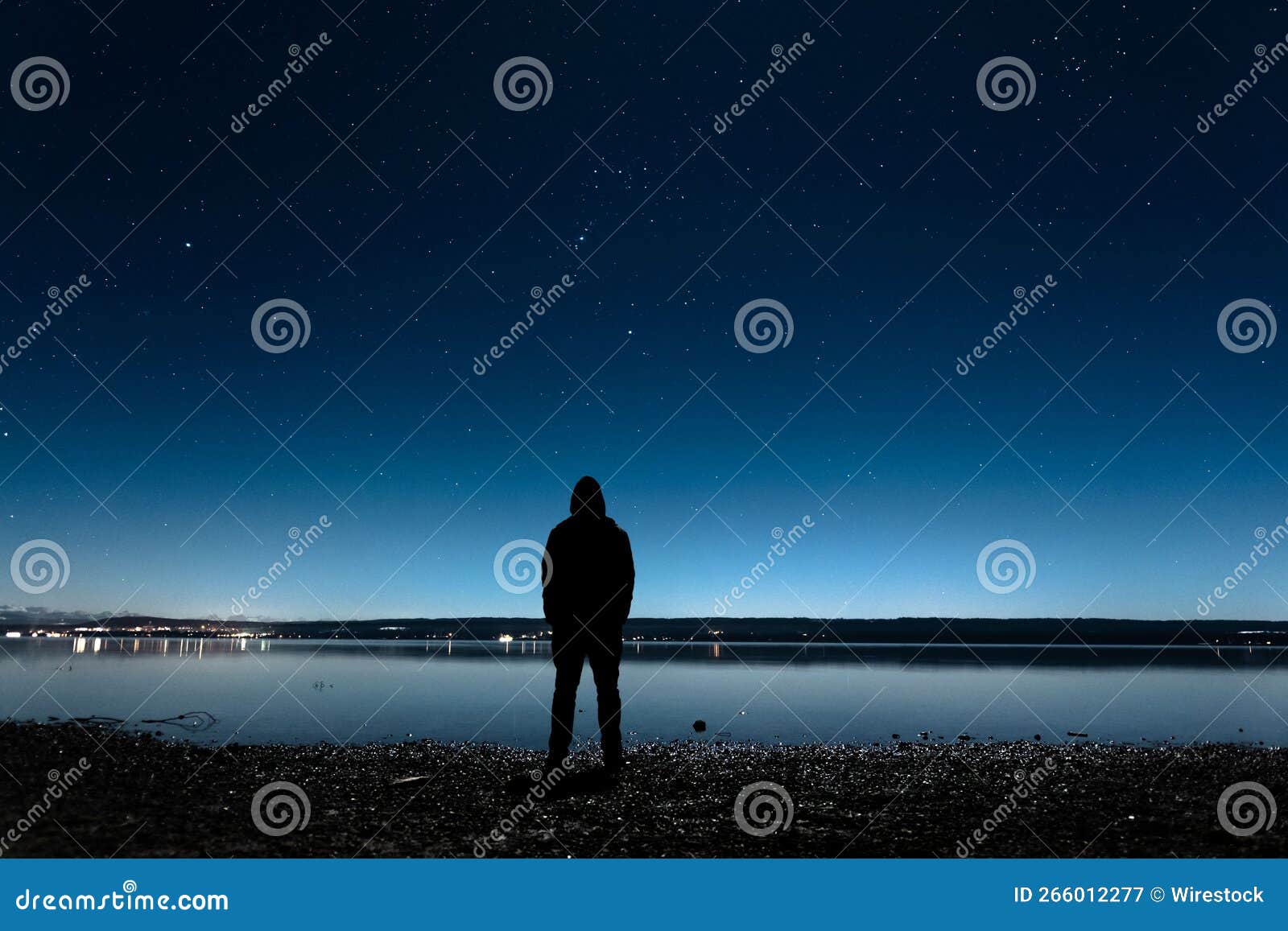 Person Standing on a Beach Looking at the Night Sky Stock Image - Image ...