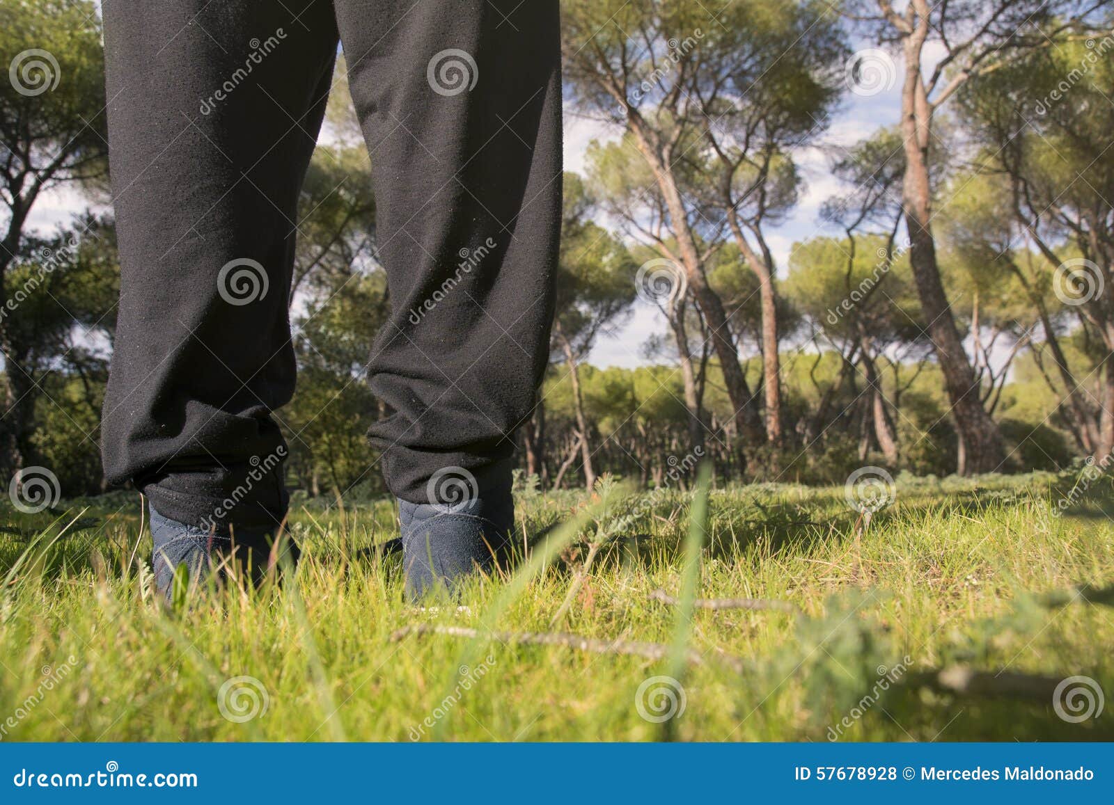 Person Standing in the Forest Stock Photo - Image of trail, foot: 57678928
