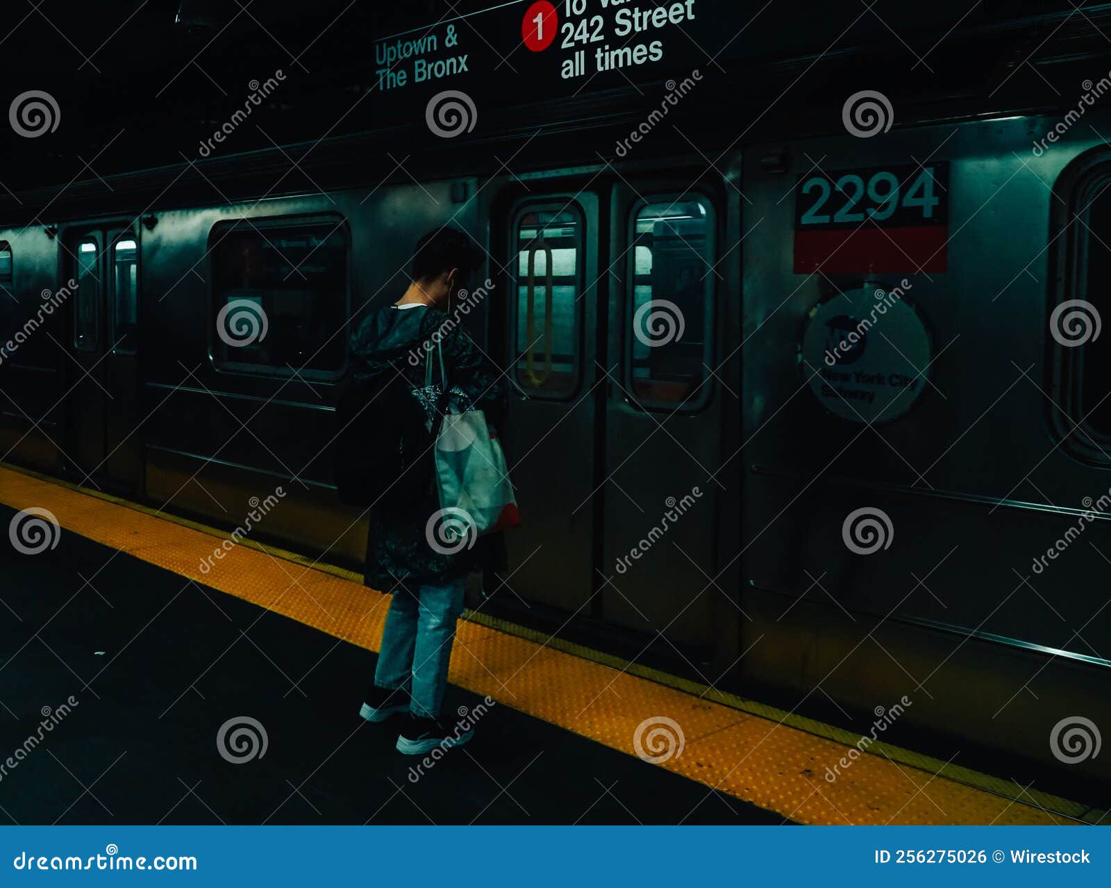 Person Standing in Front of Train Doors in a Underground Subway Stock ...