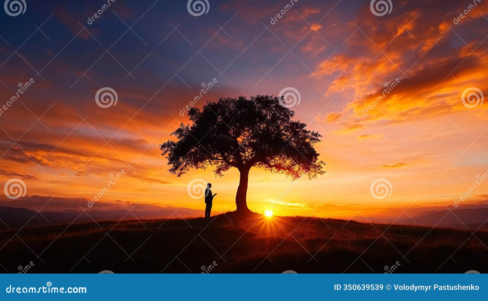 A Person Standing Under a Tree on Top of a Hill at Sunset Stock Image ...