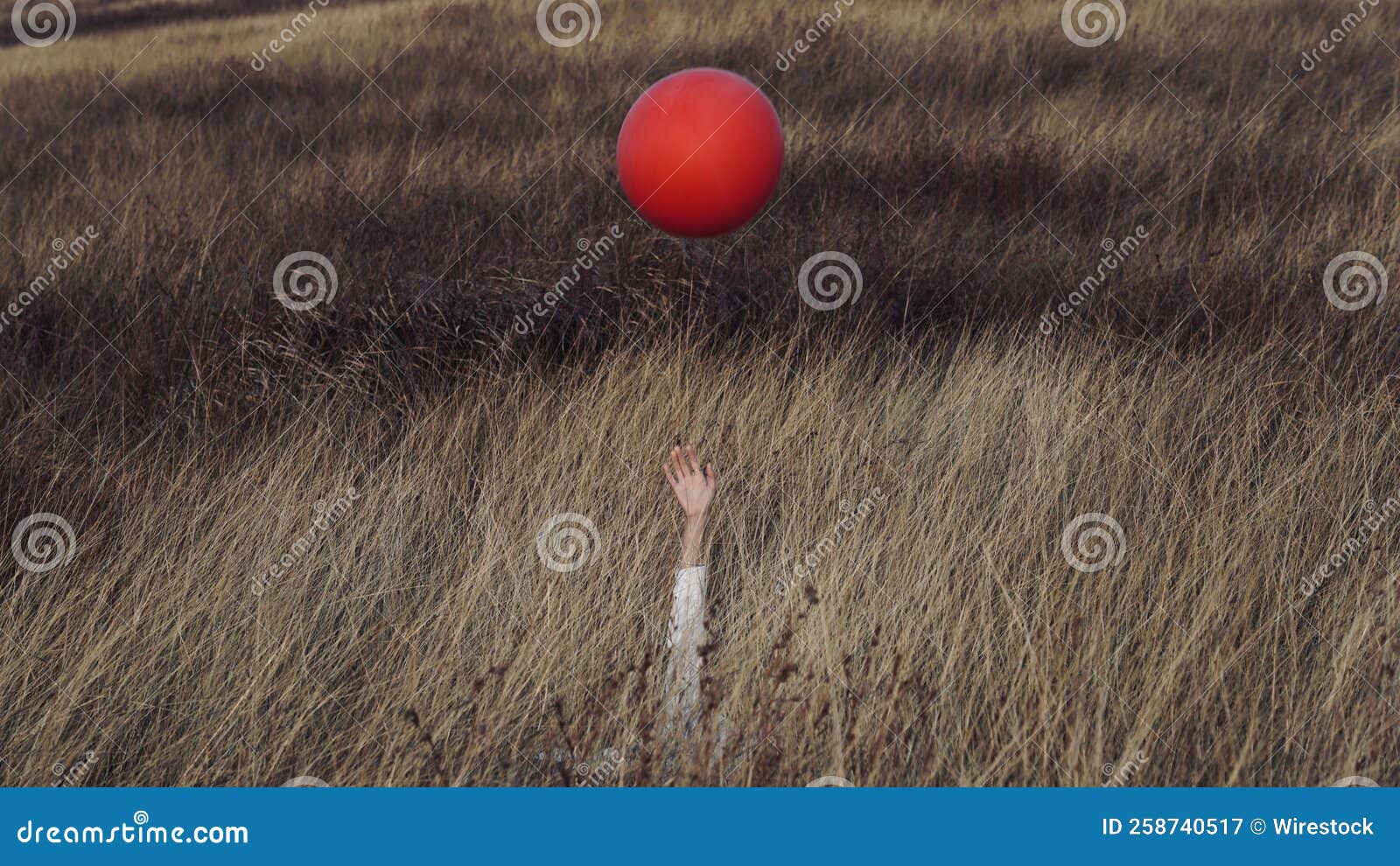 Person Throwing a Red Balloon Up in a Field Stock Image - Image of ...