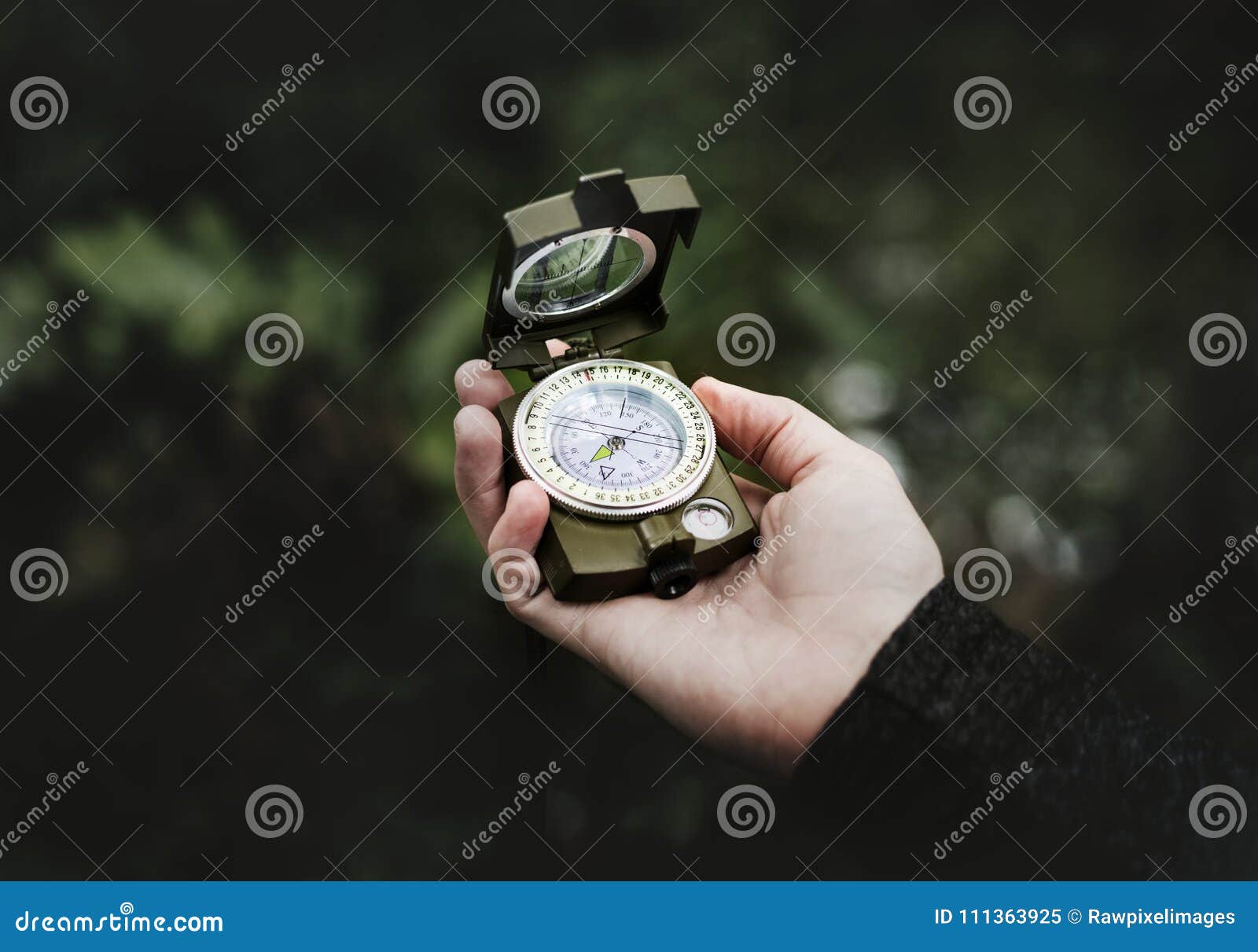 Person Trekking in a Forest Using Compass Stock Image - Image of jungle ...