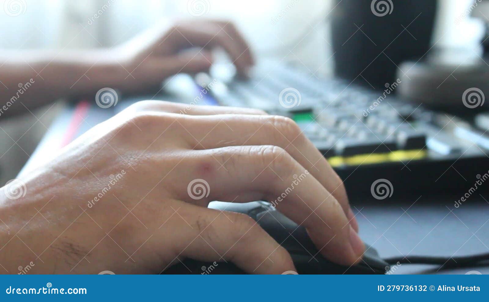 Person typing stock footage. Video of people, typing - 279736132