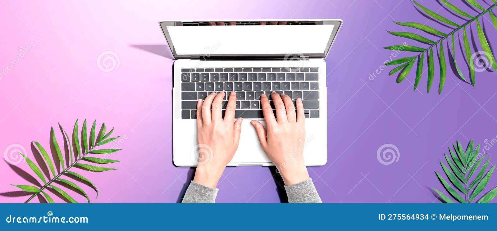 Person Using a Laptop Computer with Tropical Leaves Stock Photo - Image ...