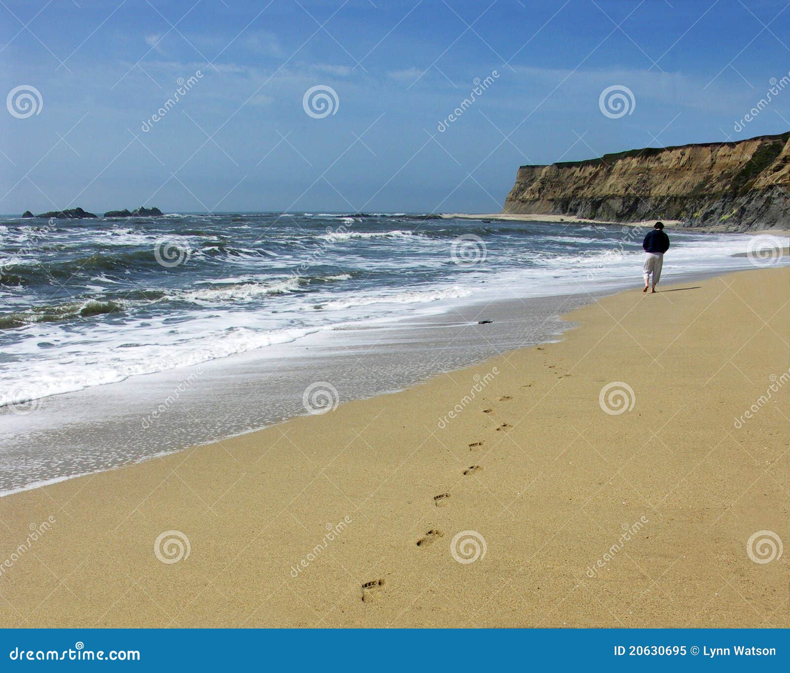 Person Walking on the Beach Stock Image - Image of travel, vertical ...