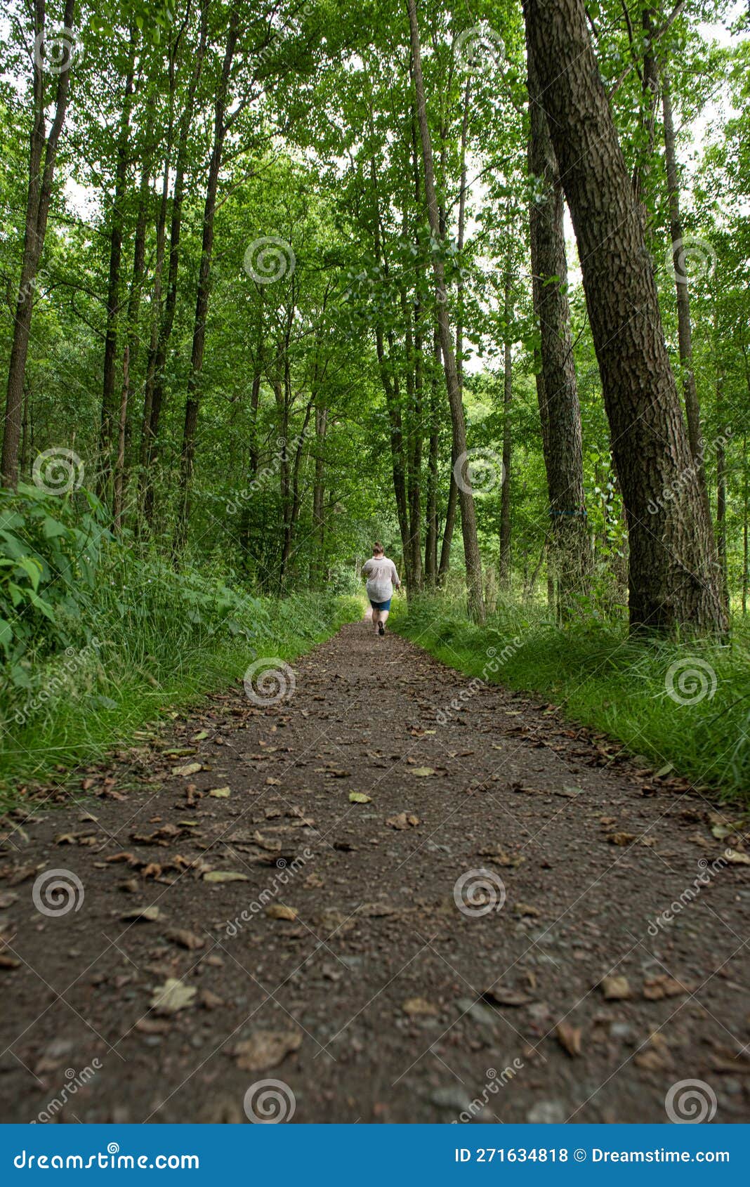 Person Walking Down a Path in the Forest.. Stock Photo - Image of grass ...