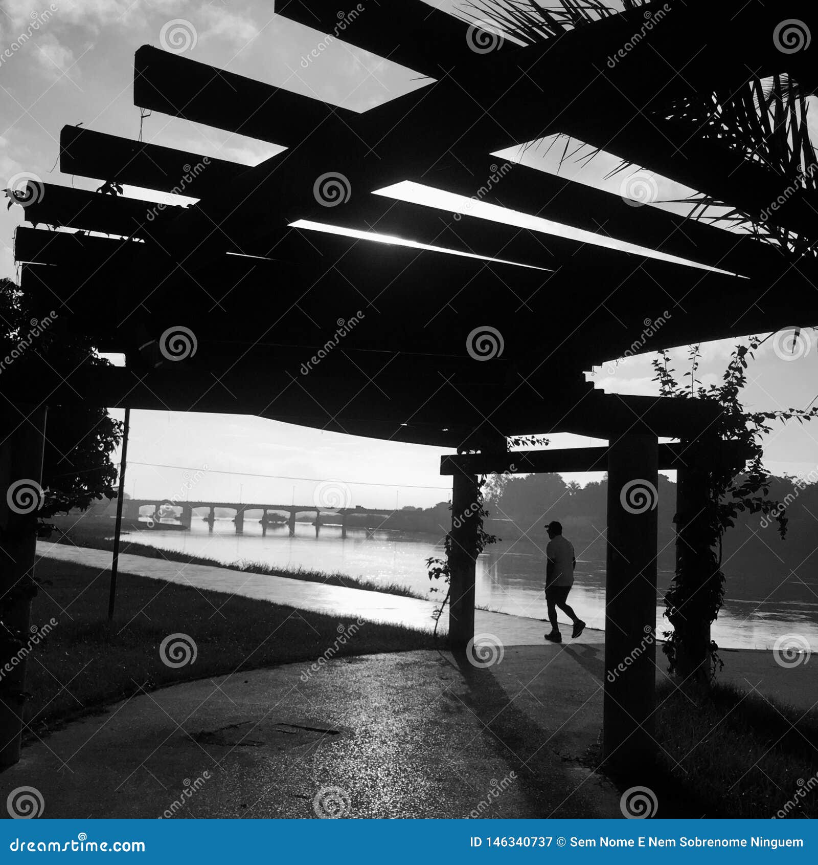 Person Walking on the River Side Stock Image - Image of border ...