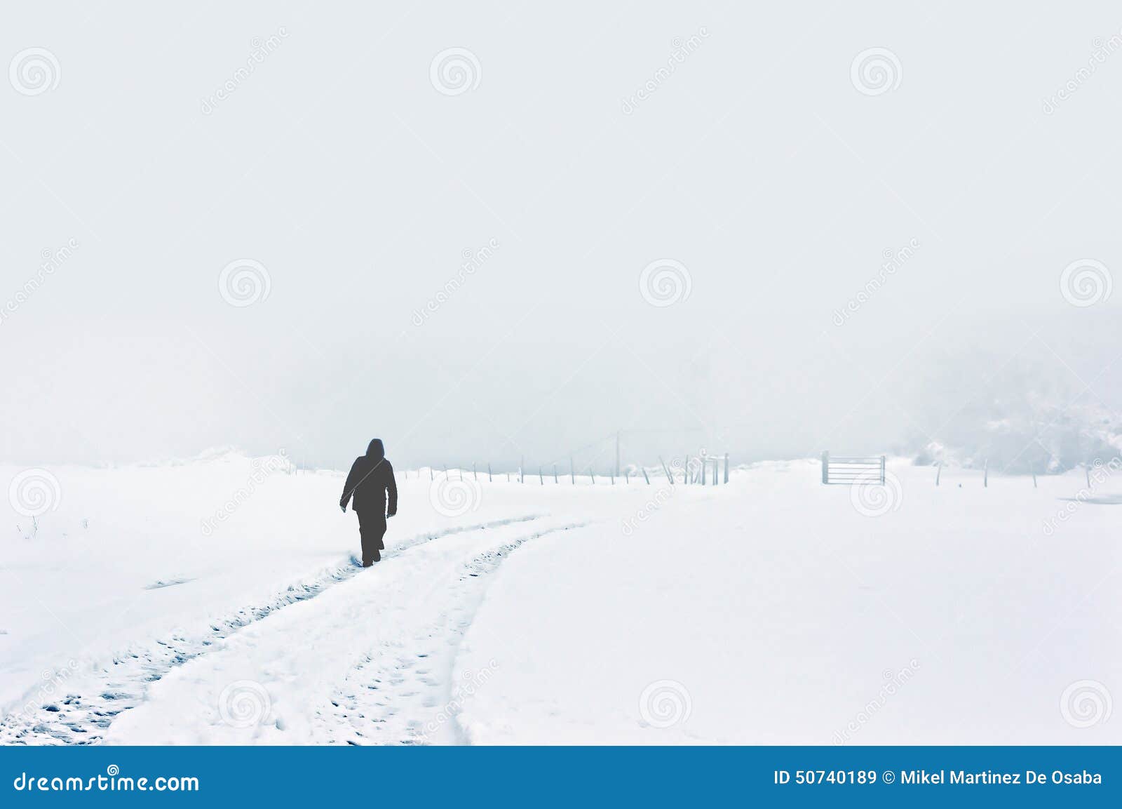 Person Walking on Snowy Winter Landscape Stock Image - Image of ...