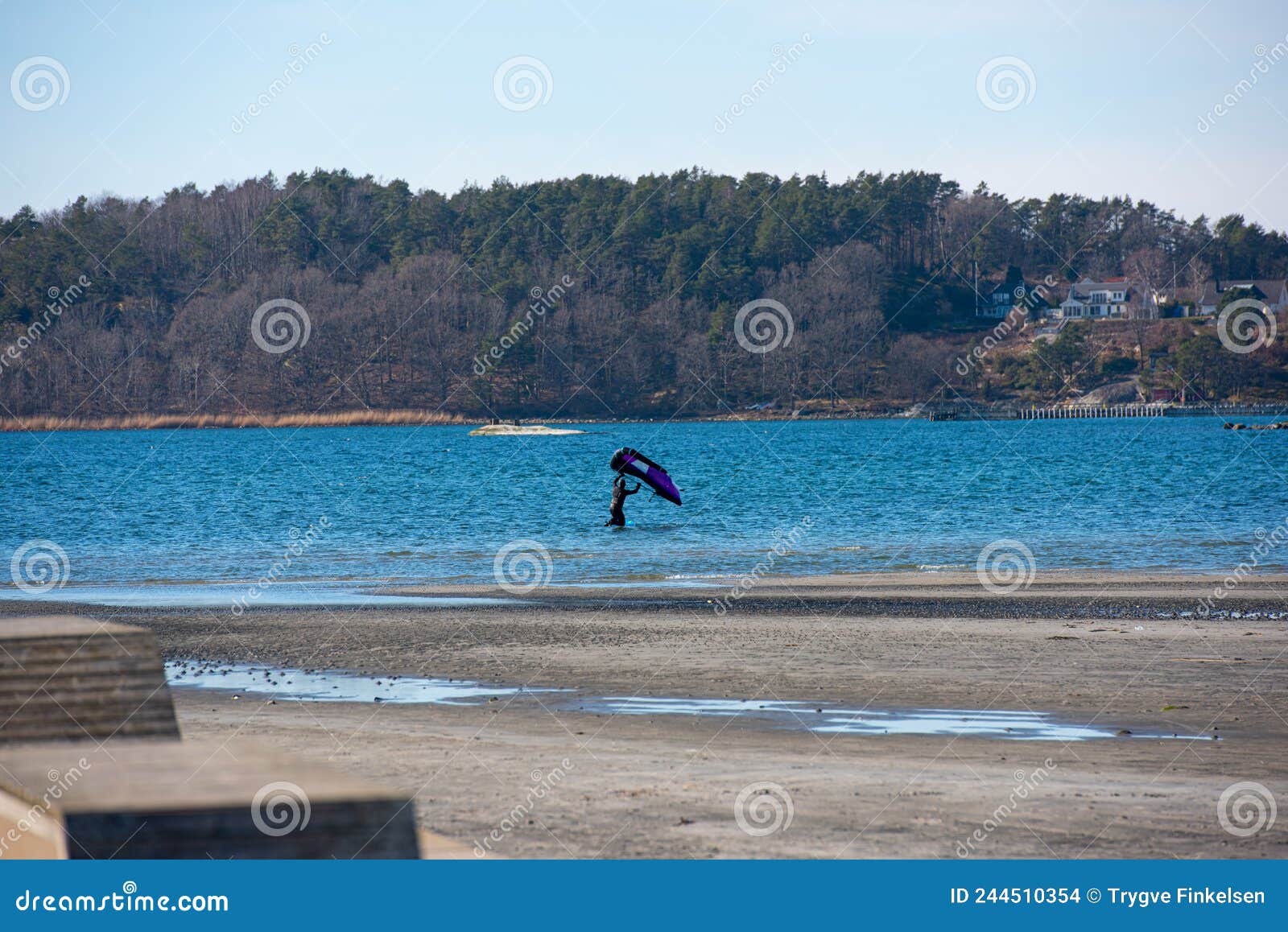 Person in the Water by a Beach Getting Ready To Wing Foil.. Editorial ...