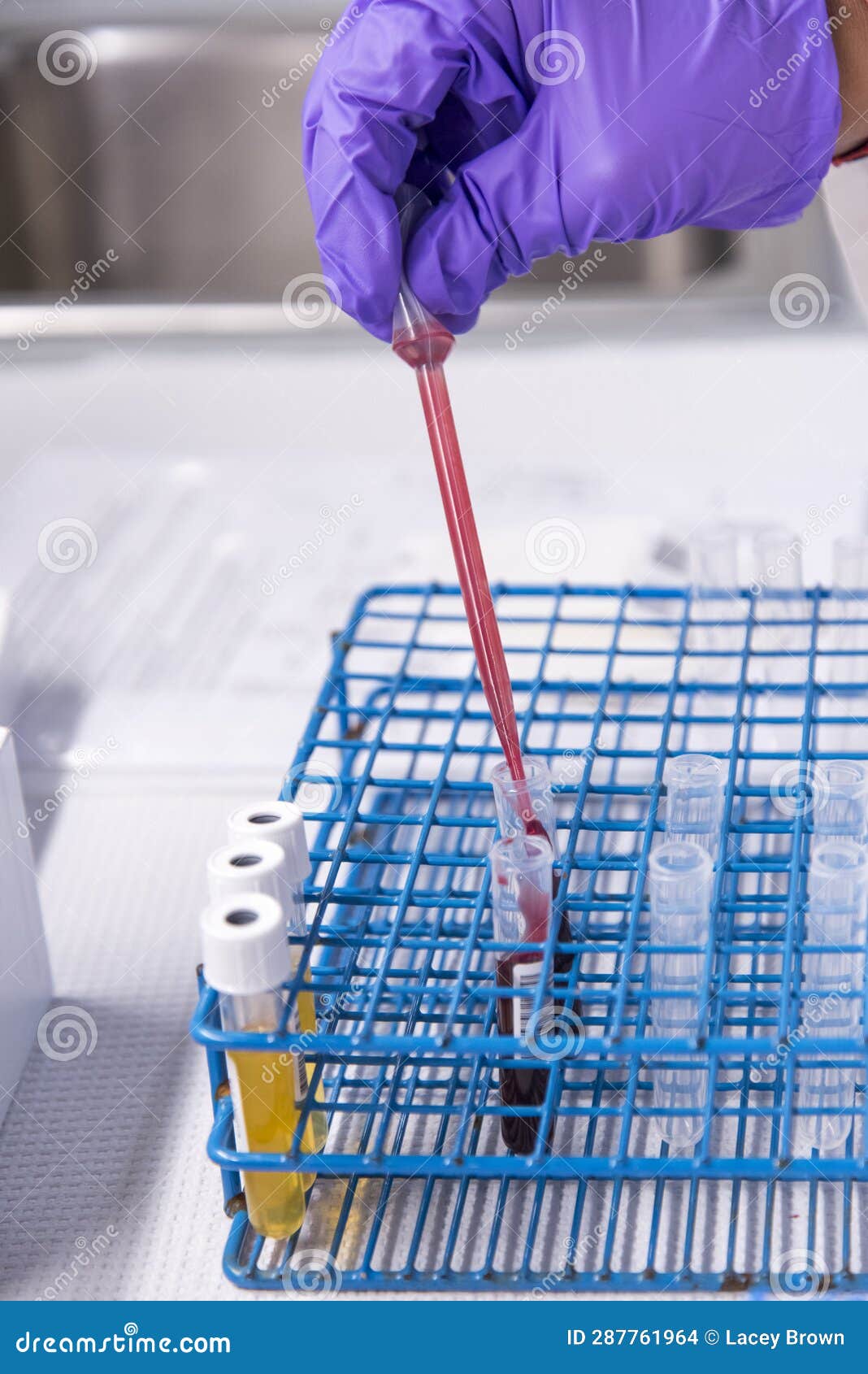 Scientists Processes Samples in a Lab Stock Photo - Image of iron ...