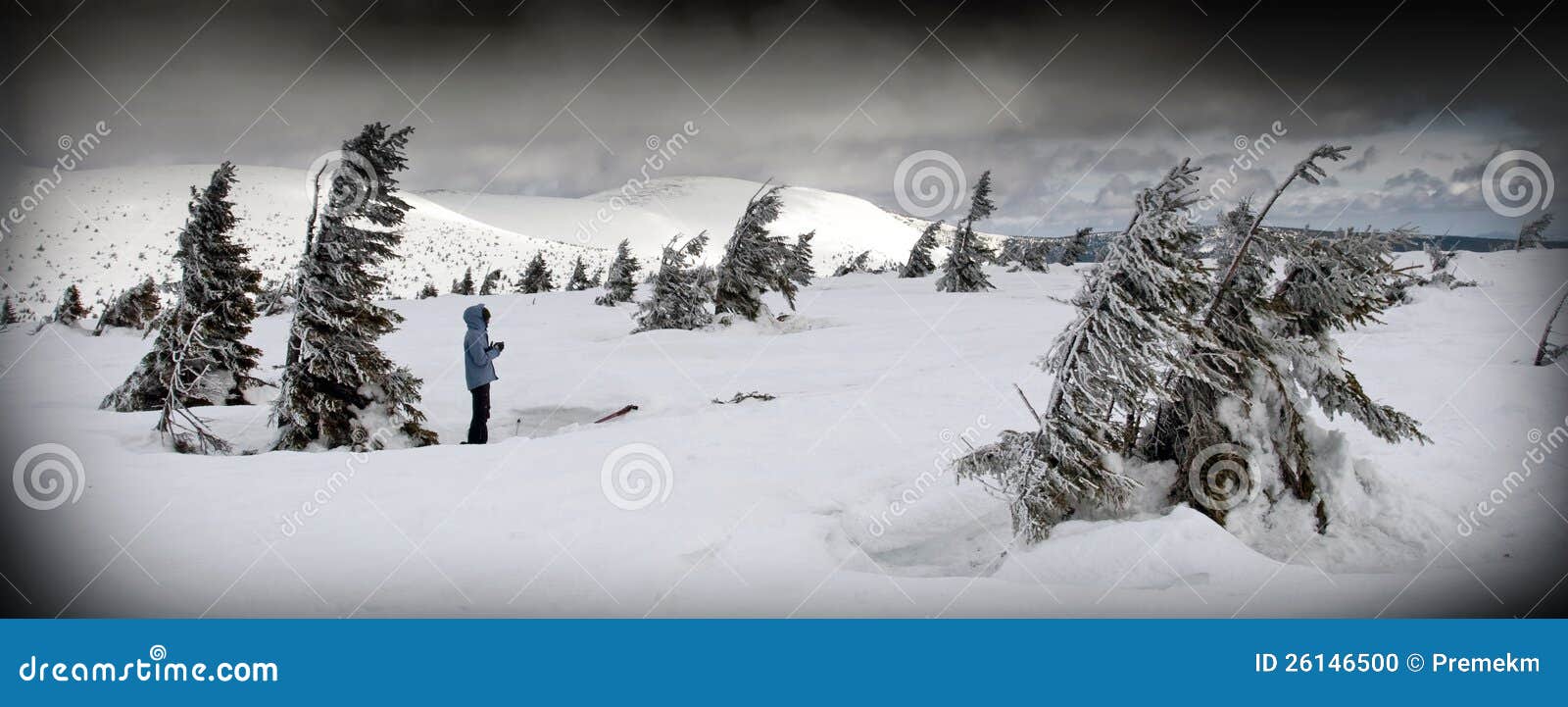 Person in Windy Winter Landscape Stock Photo - Image of frozen ...
