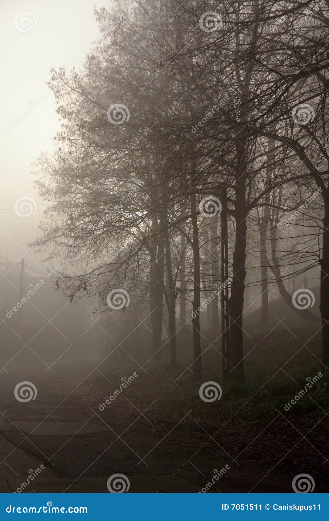 Persona Chapada A La Antigua II Imagen. Imagen: 7051511