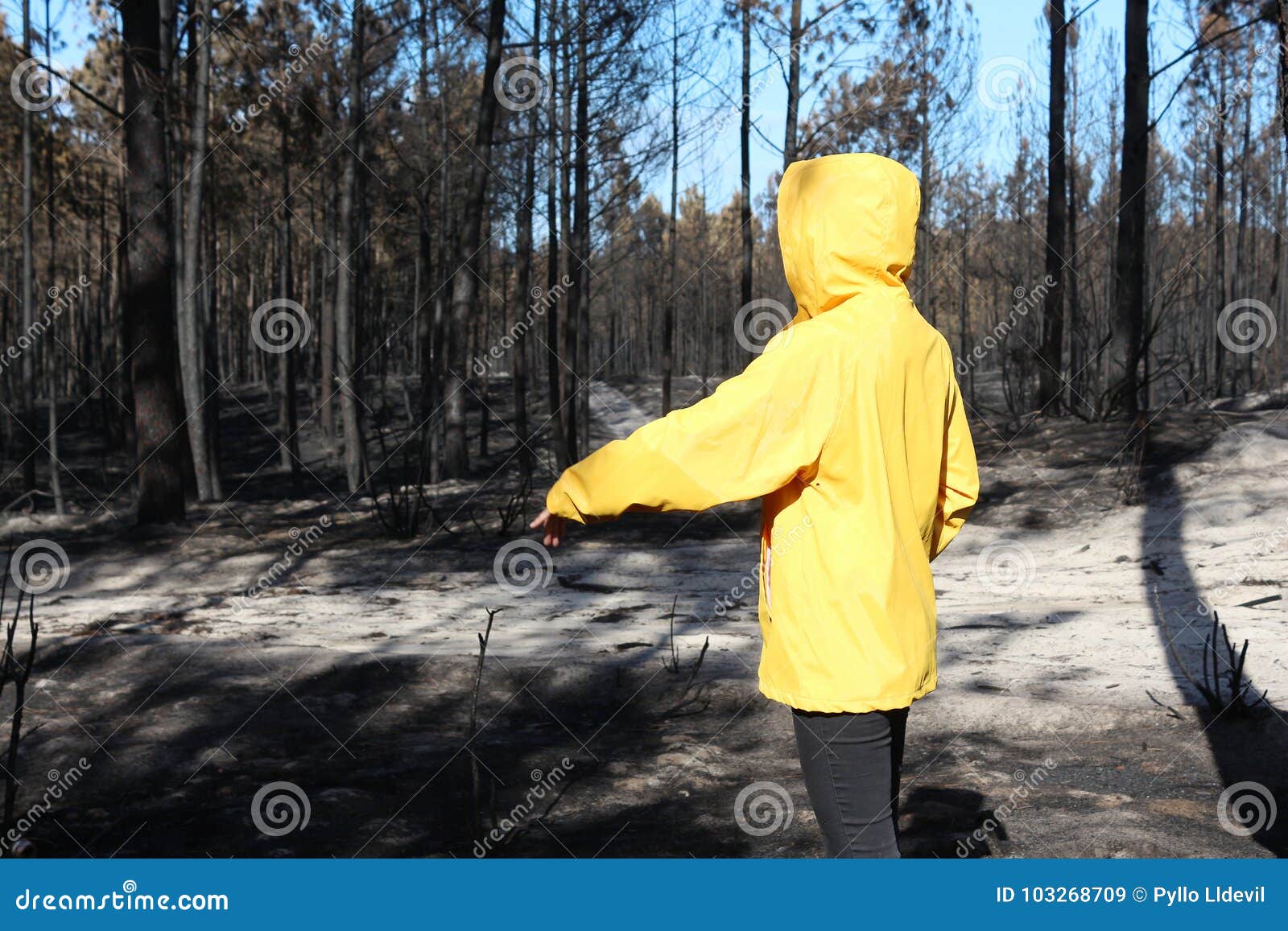 Persona En Un Bosque Quemado Imagen de archivo - Imagen de personas ...