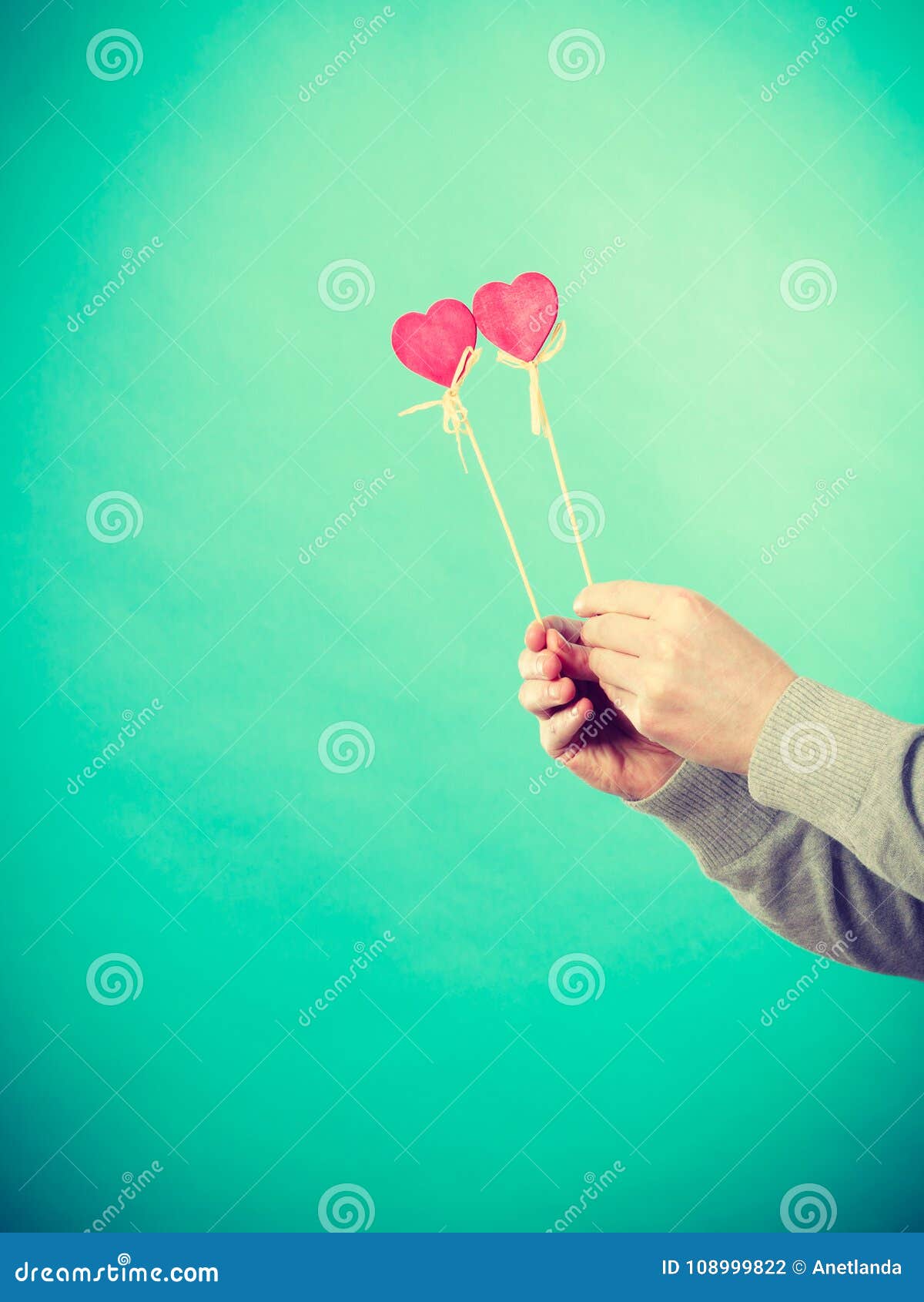 Persona Que Lleva a Cabo Dos Corazones Foto de archivo - Imagen de lazo ...