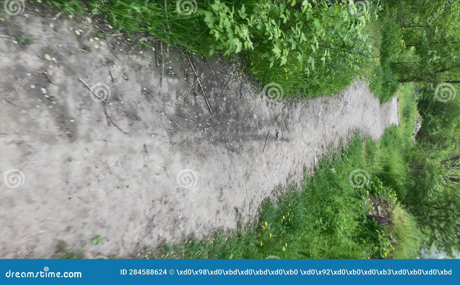 A Personal Look at Walking Along a Path in the Woods.vertical Screen ...