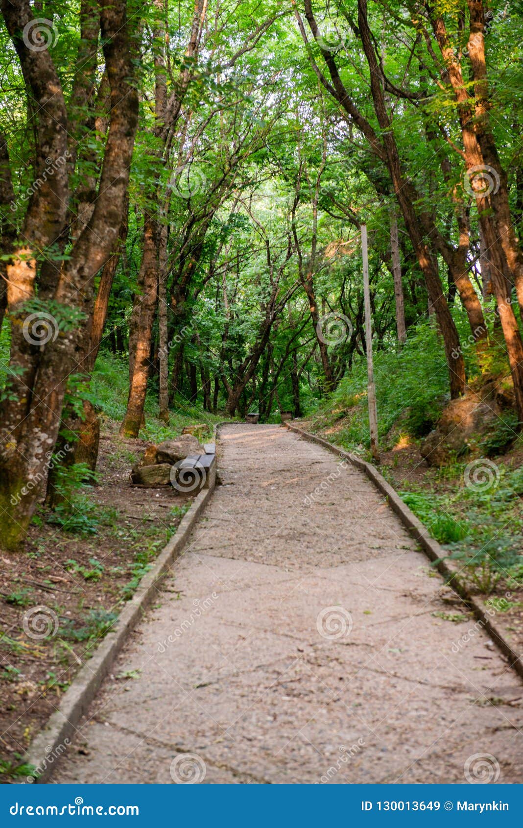 Personal Perspective of Walking on a Path in the Forest Stock Image ...