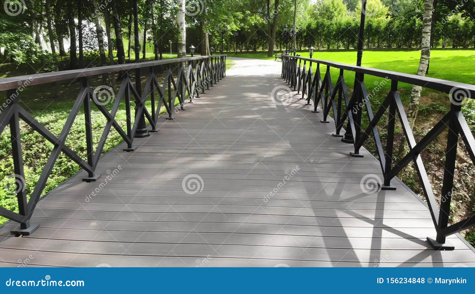 Personal Perspective of Walking on a Path in the Forest Stock Footage ...