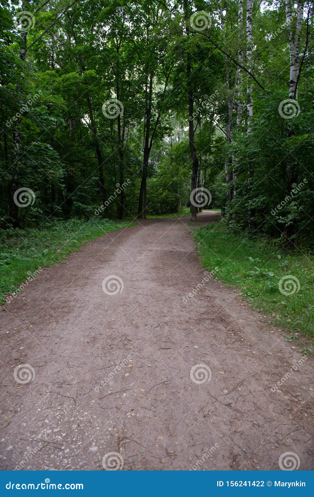 Personal Perspective of Walking on a Path in the Forest Stock Photo ...