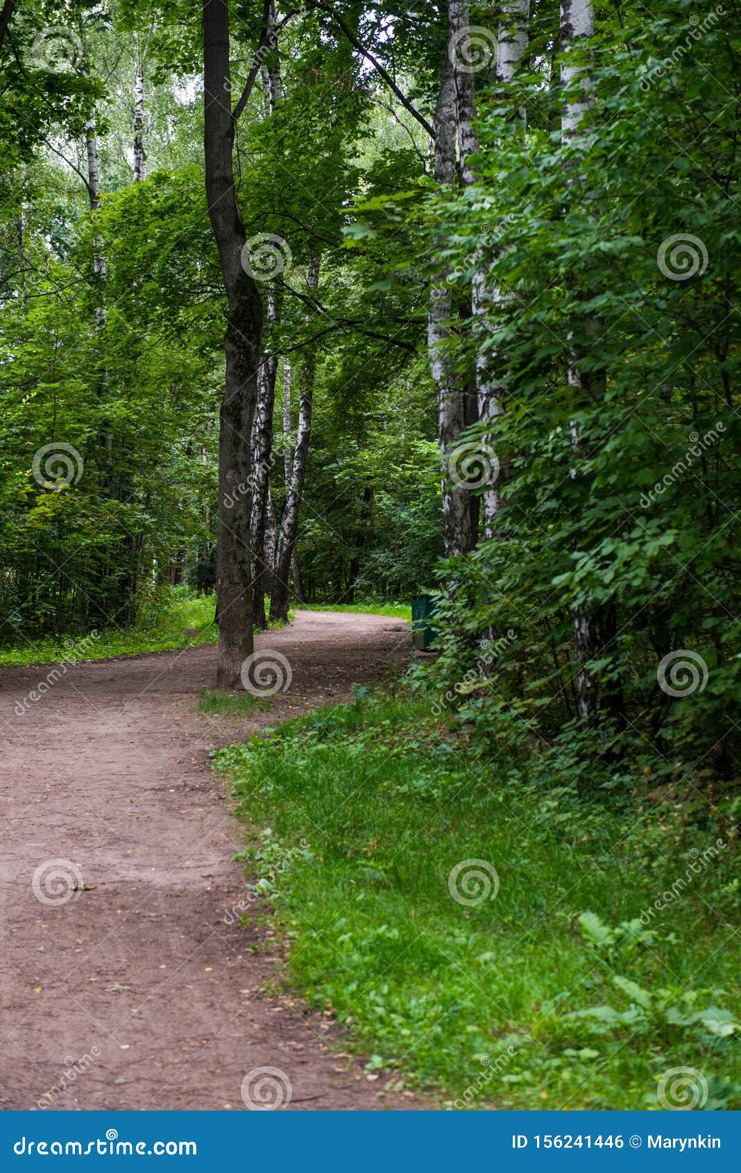 Personal Perspective of Walking on a Path in the Forest Stock Photo ...