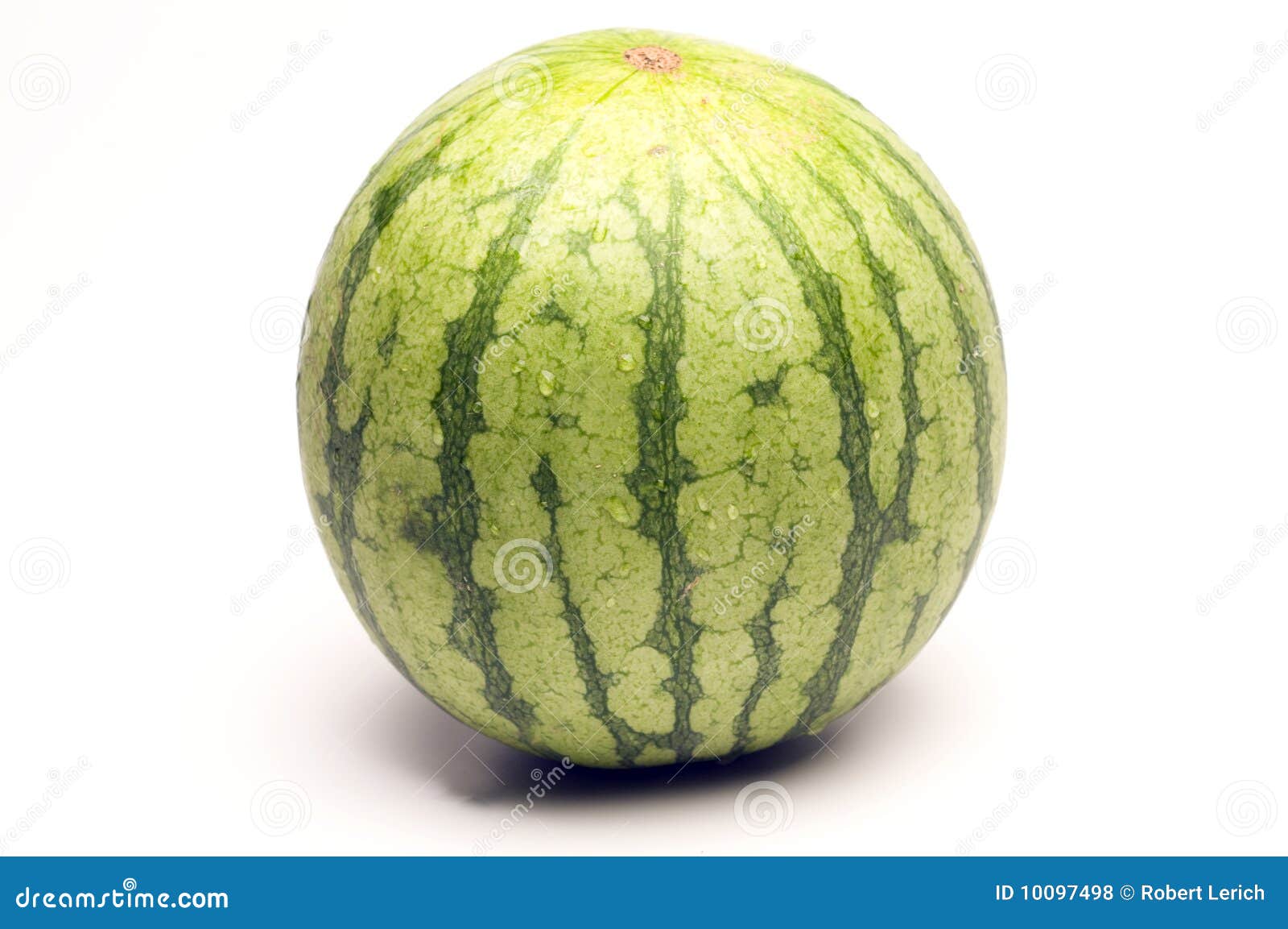 Personal size watermelon stock photo. Image of smaller - 10097498