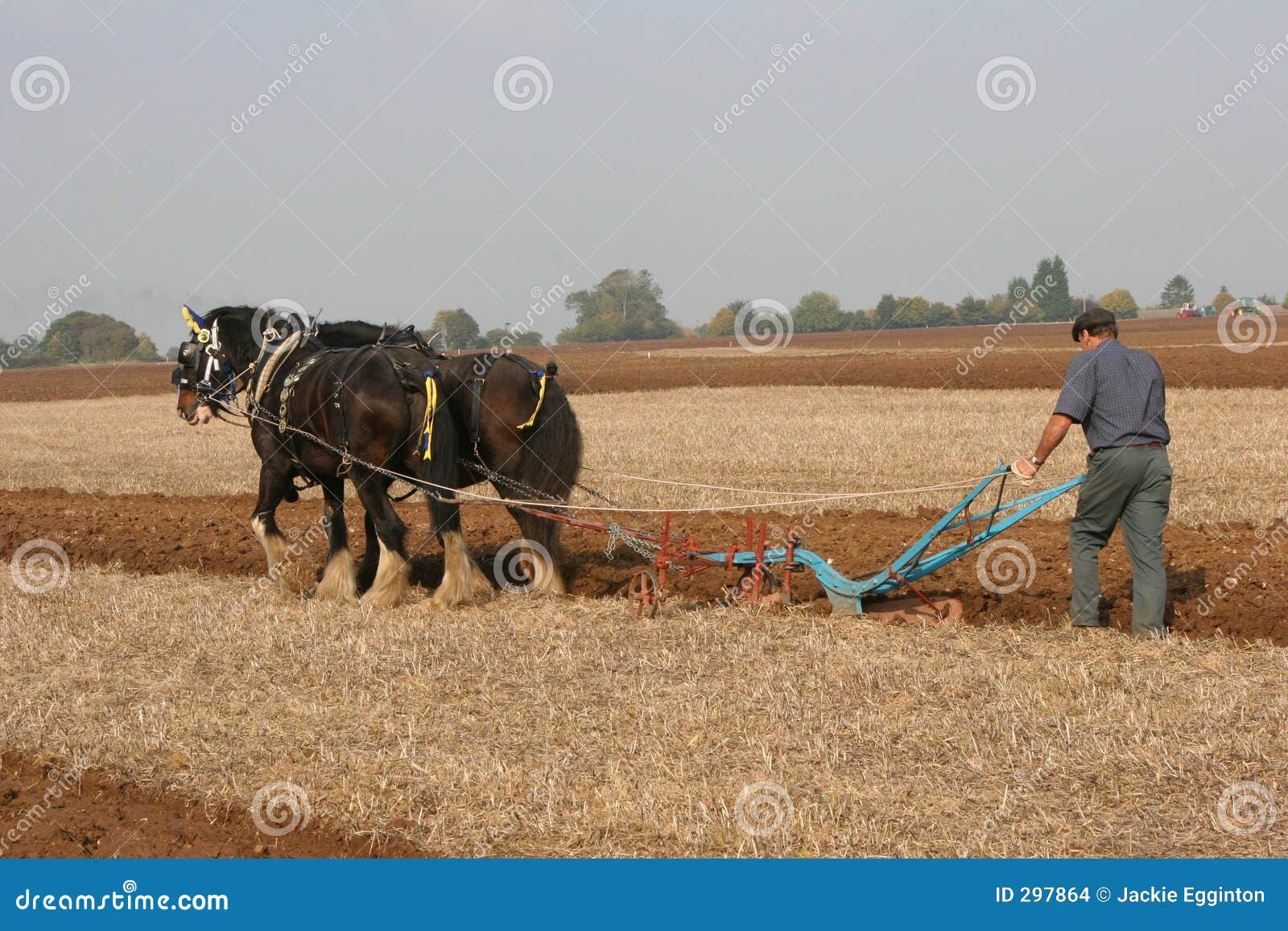 Personas de arado foto de archivo. Imagen de emparejamiento - 297864